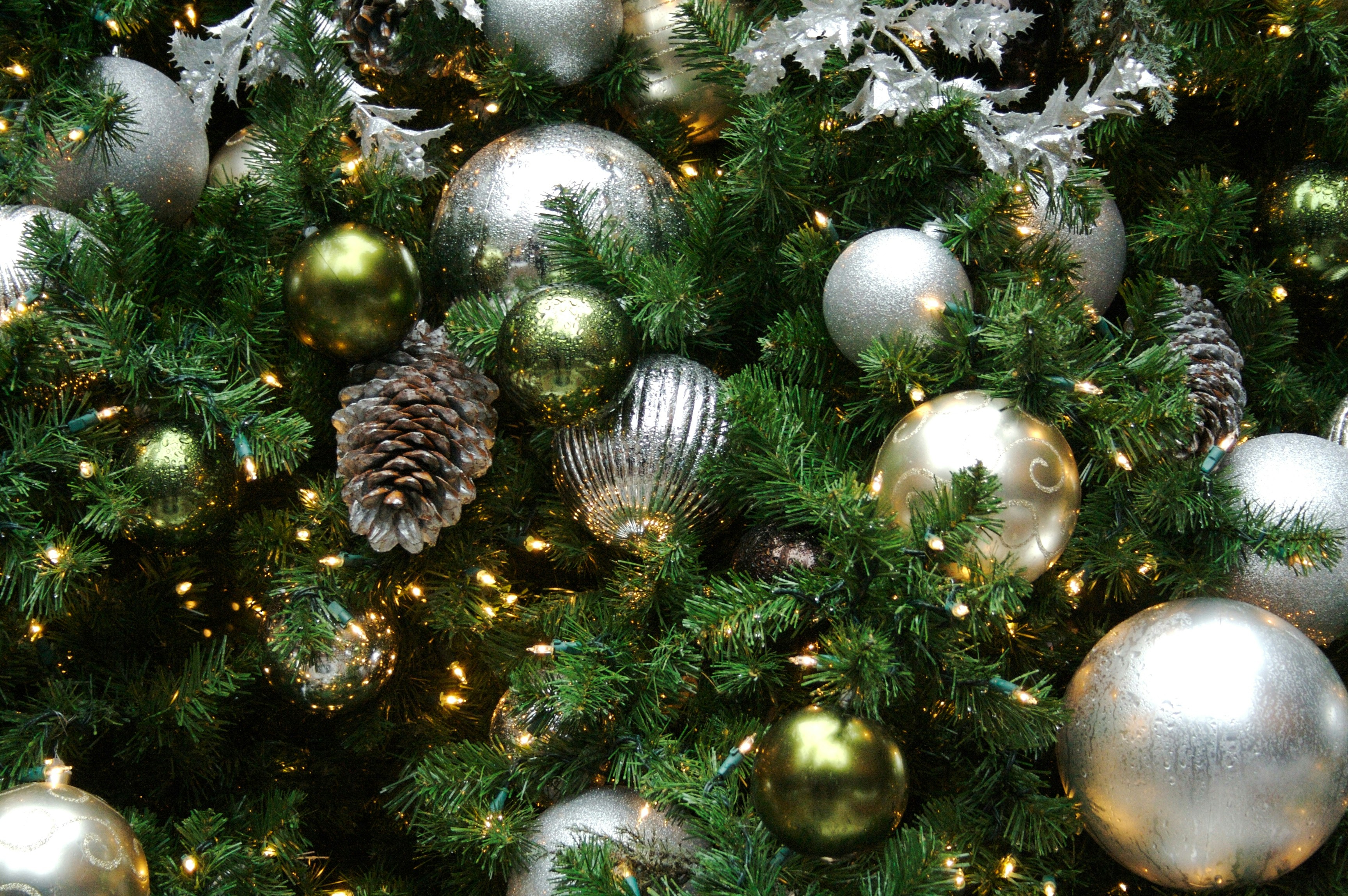 Hang Christmas Tree Lights - 5 Easy Steps for a Festive Glow - Daily ...