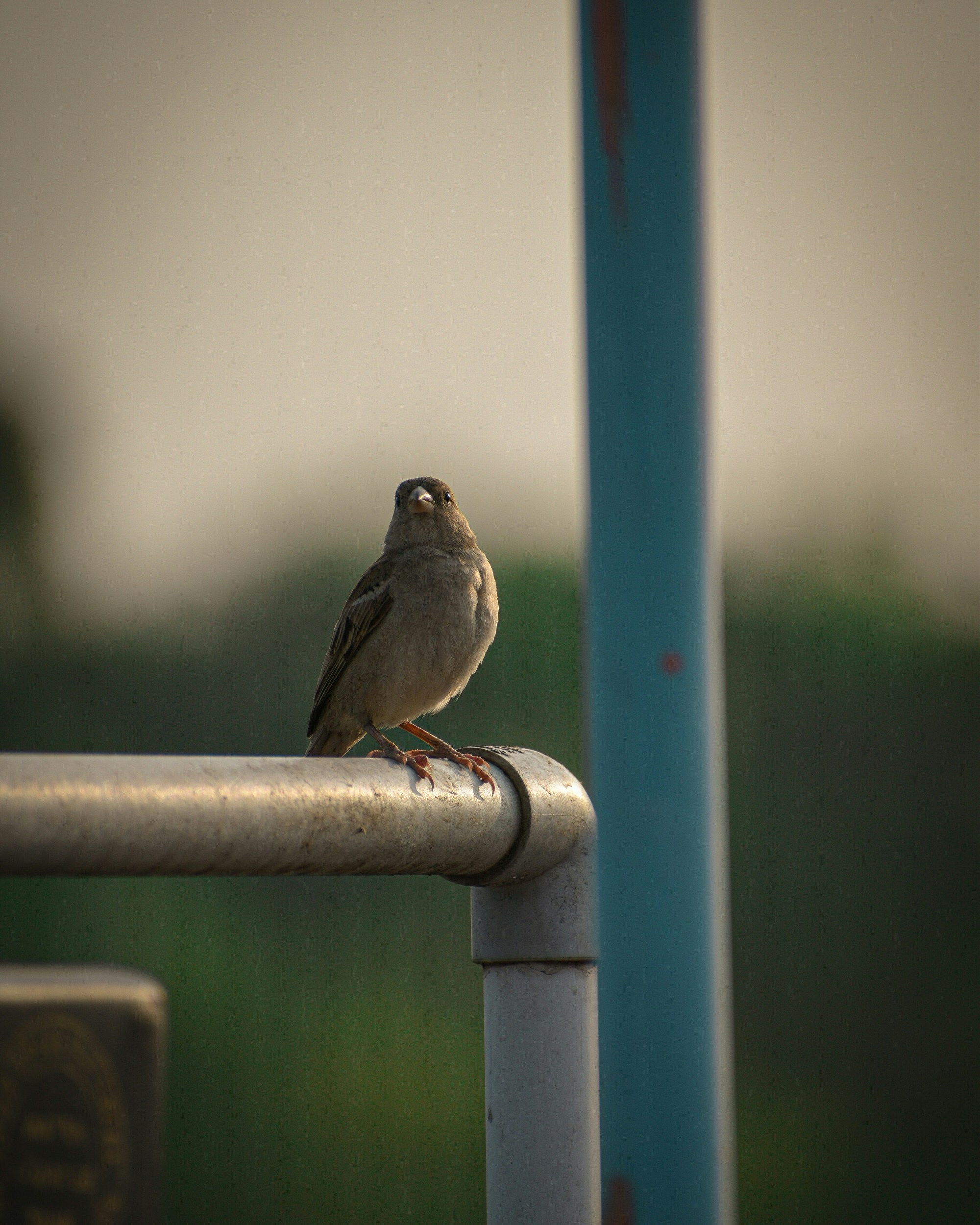 Udaya Kumar (@udaya1996) | Comunidade de fotos da Unsplash