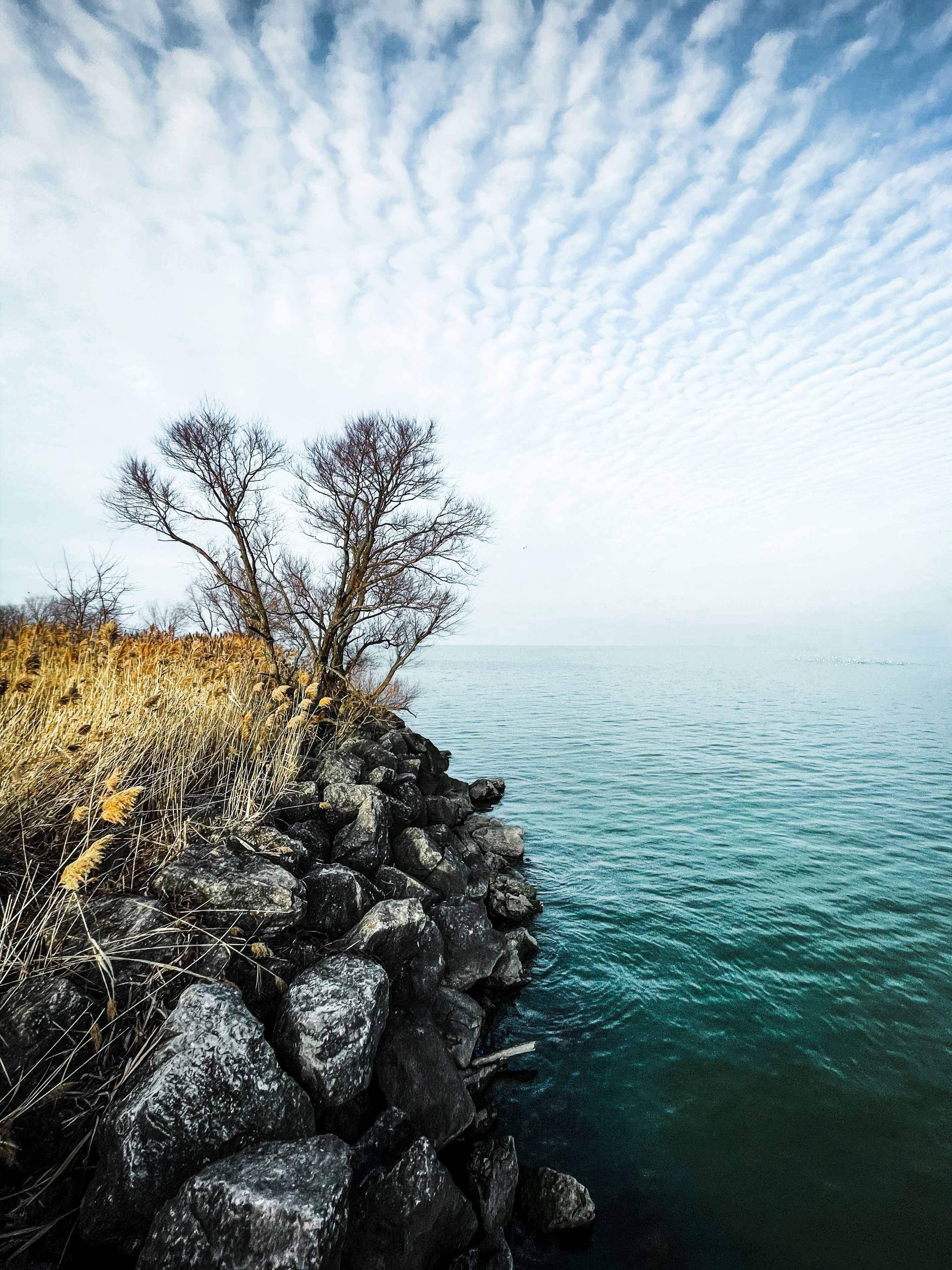 Calm morning in the harbor