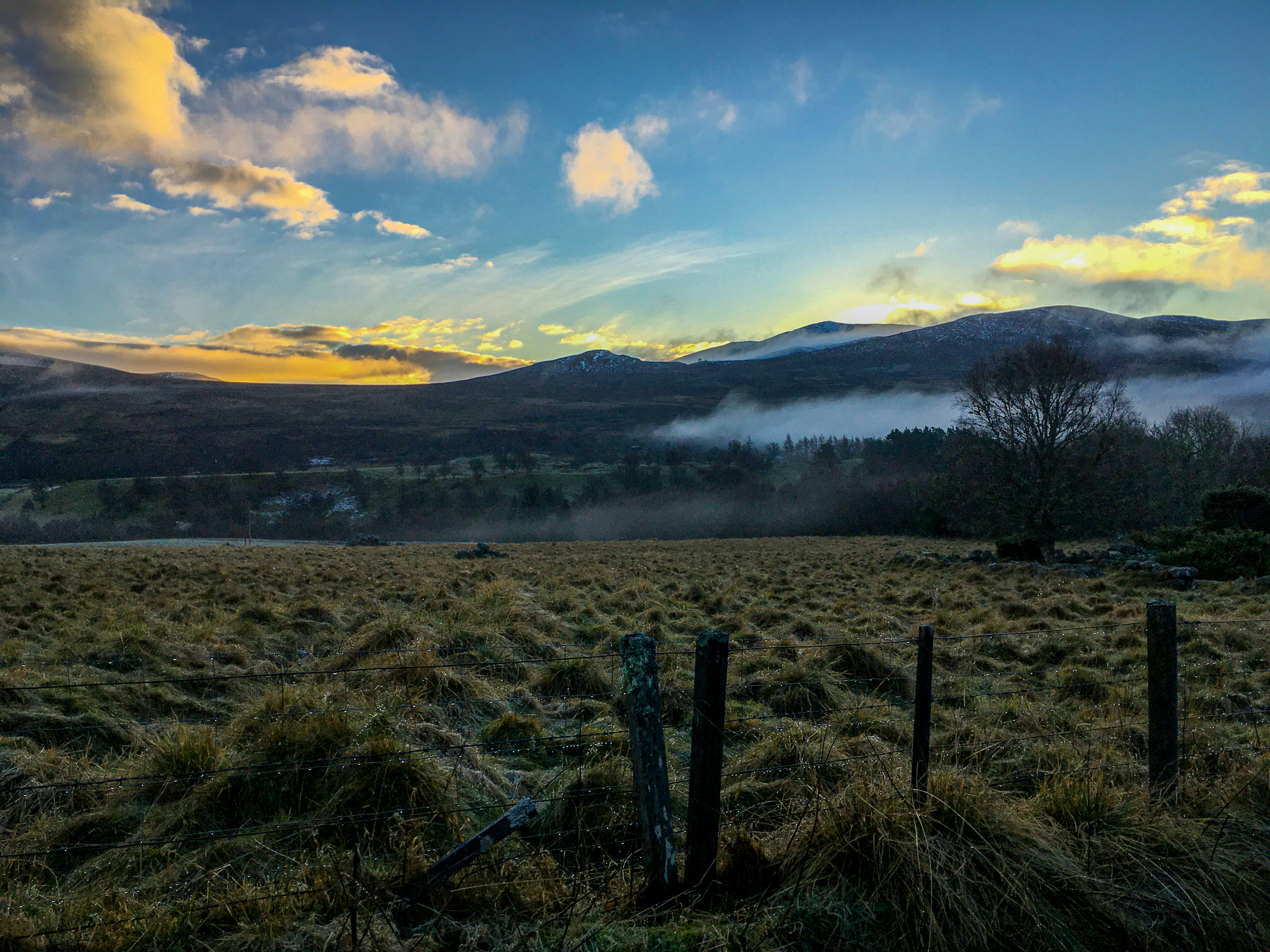 Dew-covered field with a rustic fence, backed by misty mountains at sunrise.