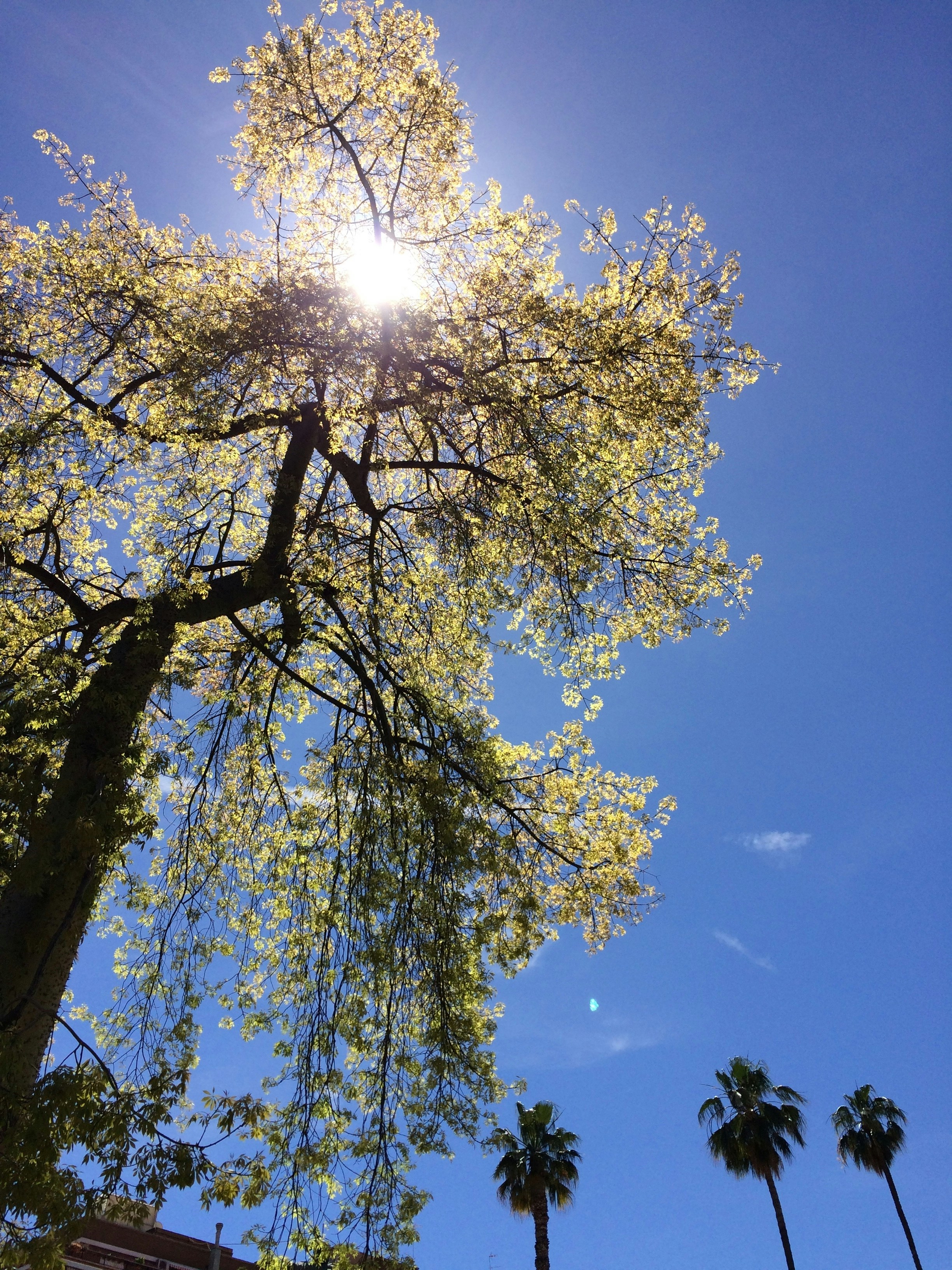 Effet Droste Photos | Télécharger des images gratuites sur Unsplash