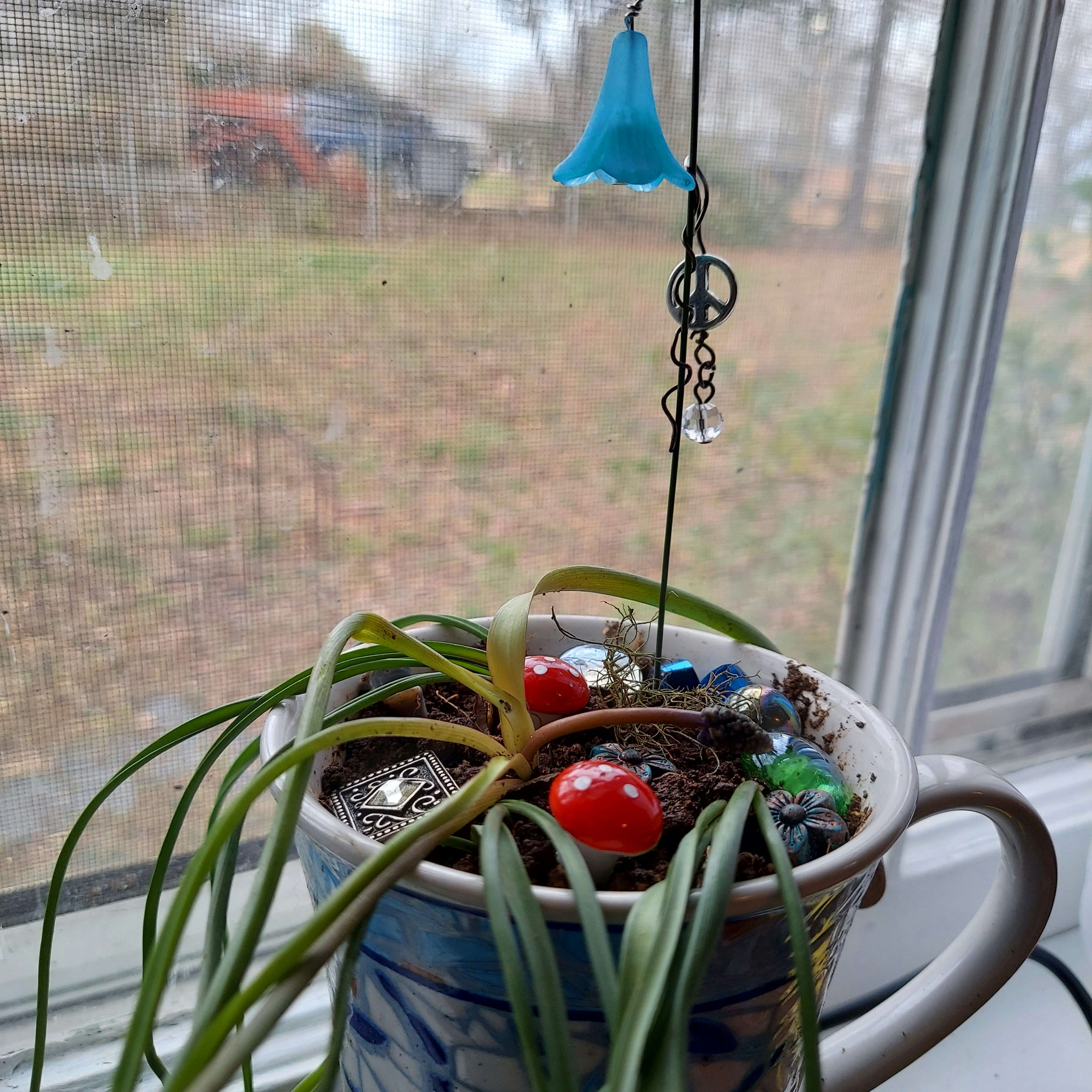 Une plante en pot assise sur un rebord de fenêtre photo – Photo Jardin ...