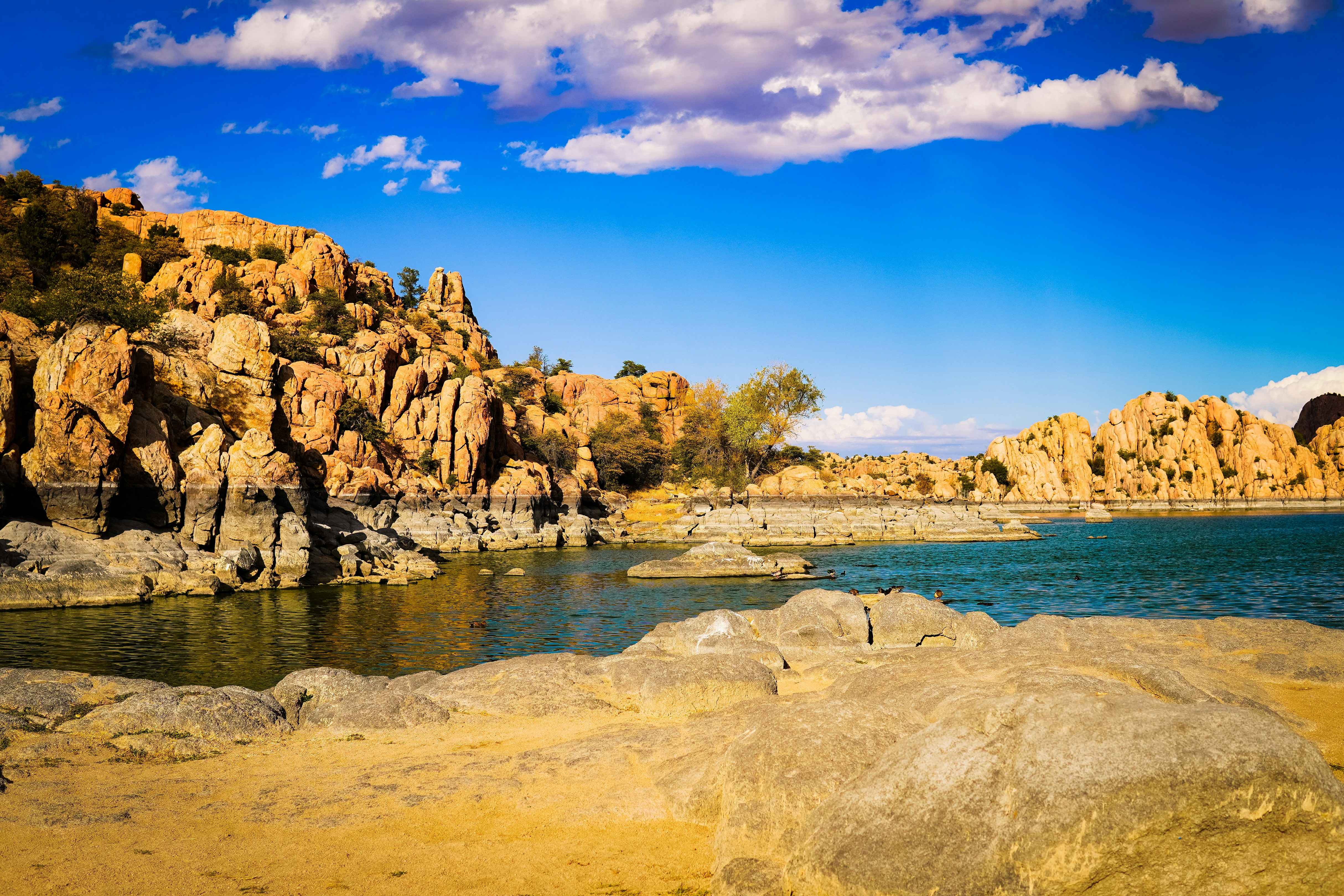 Sunlit Serenity by the Rocky Shoreline