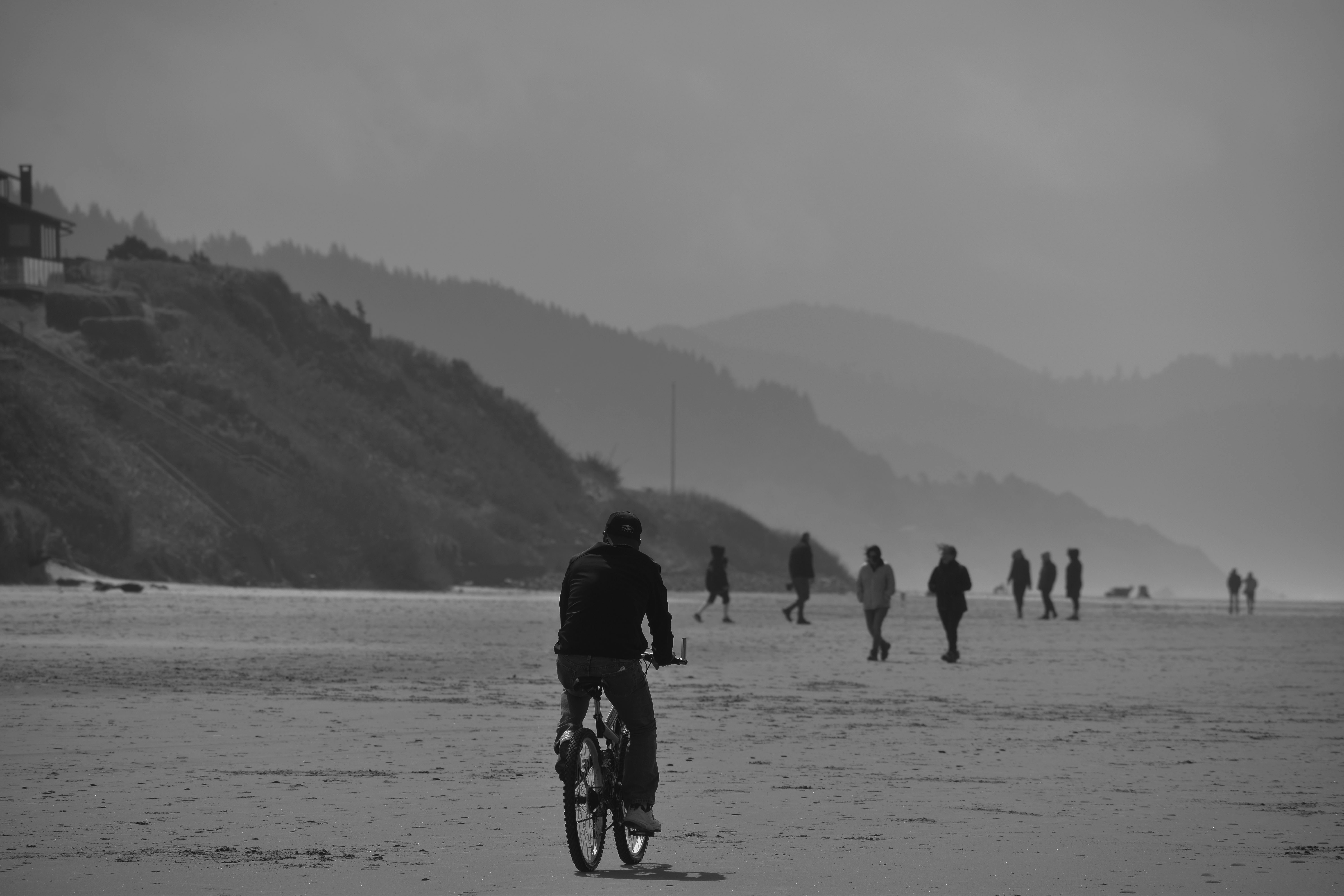 Rider Leads a Quiet Parade: A Coastal Walk in Low Tide