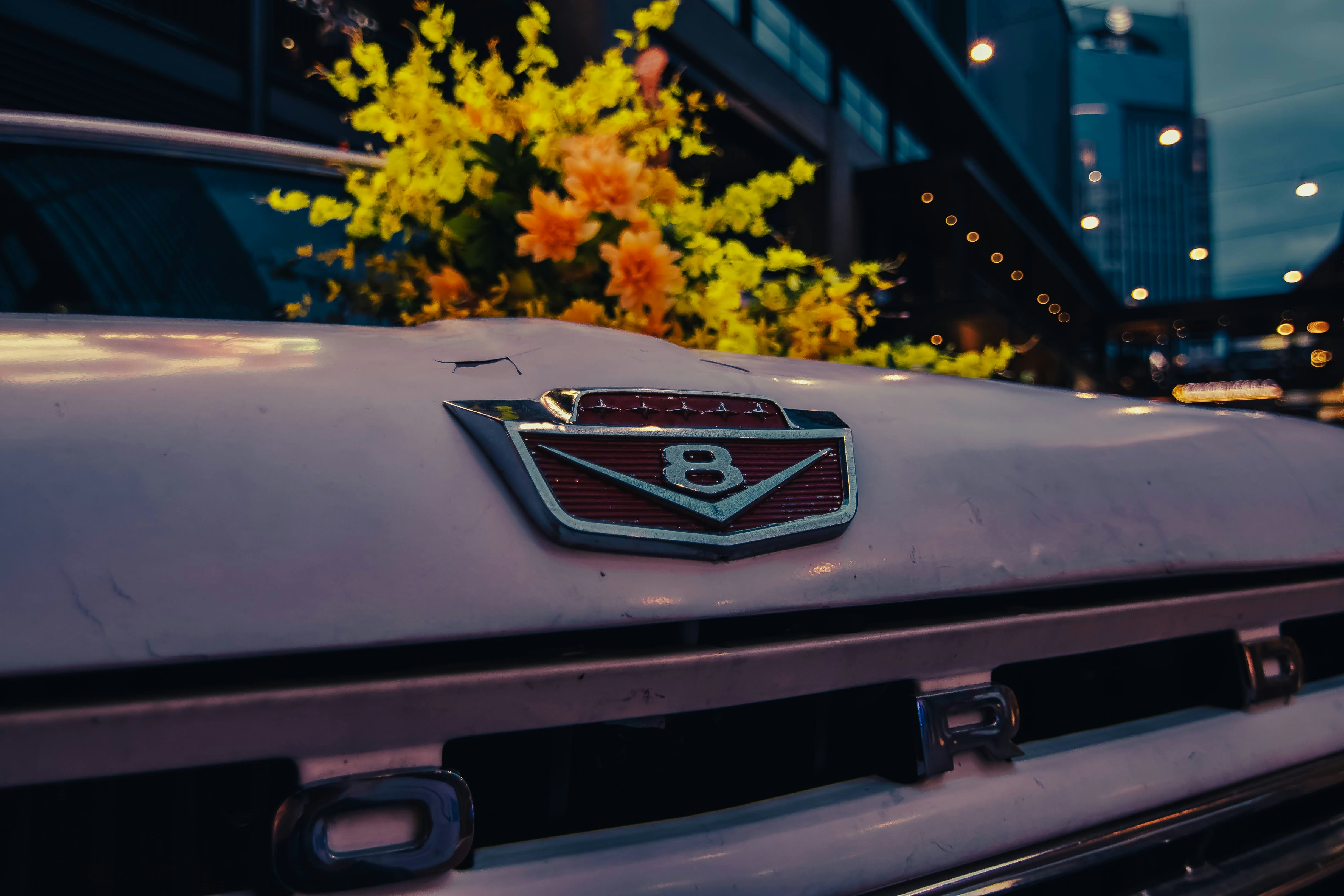 Close-up of a classic car hood adorned with vibrant yellow flowers, showcasing a retro emblem. The urban backdrop adds a modern touch.
