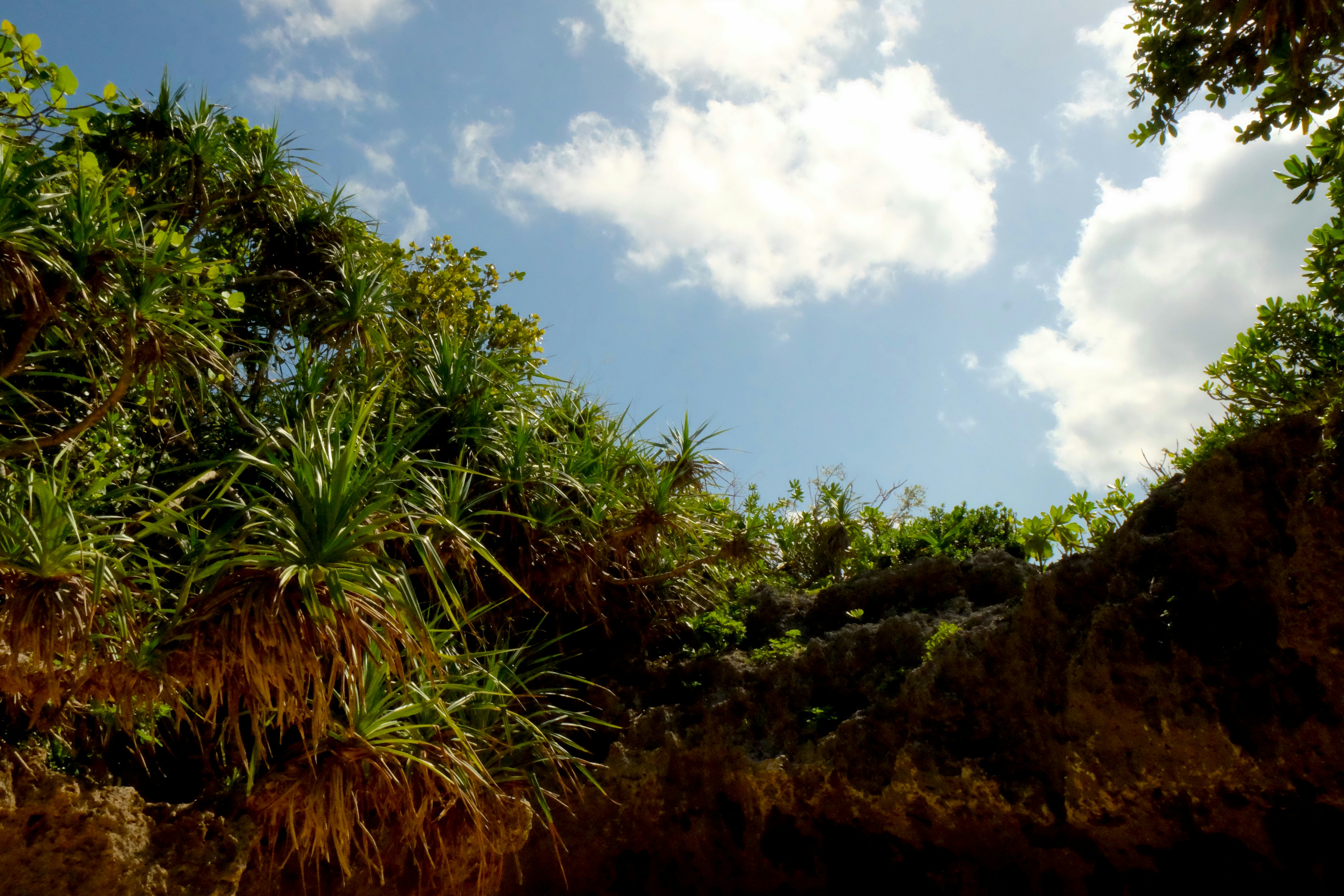 Verdant Cliff Edge Under a Sumptuous Sky