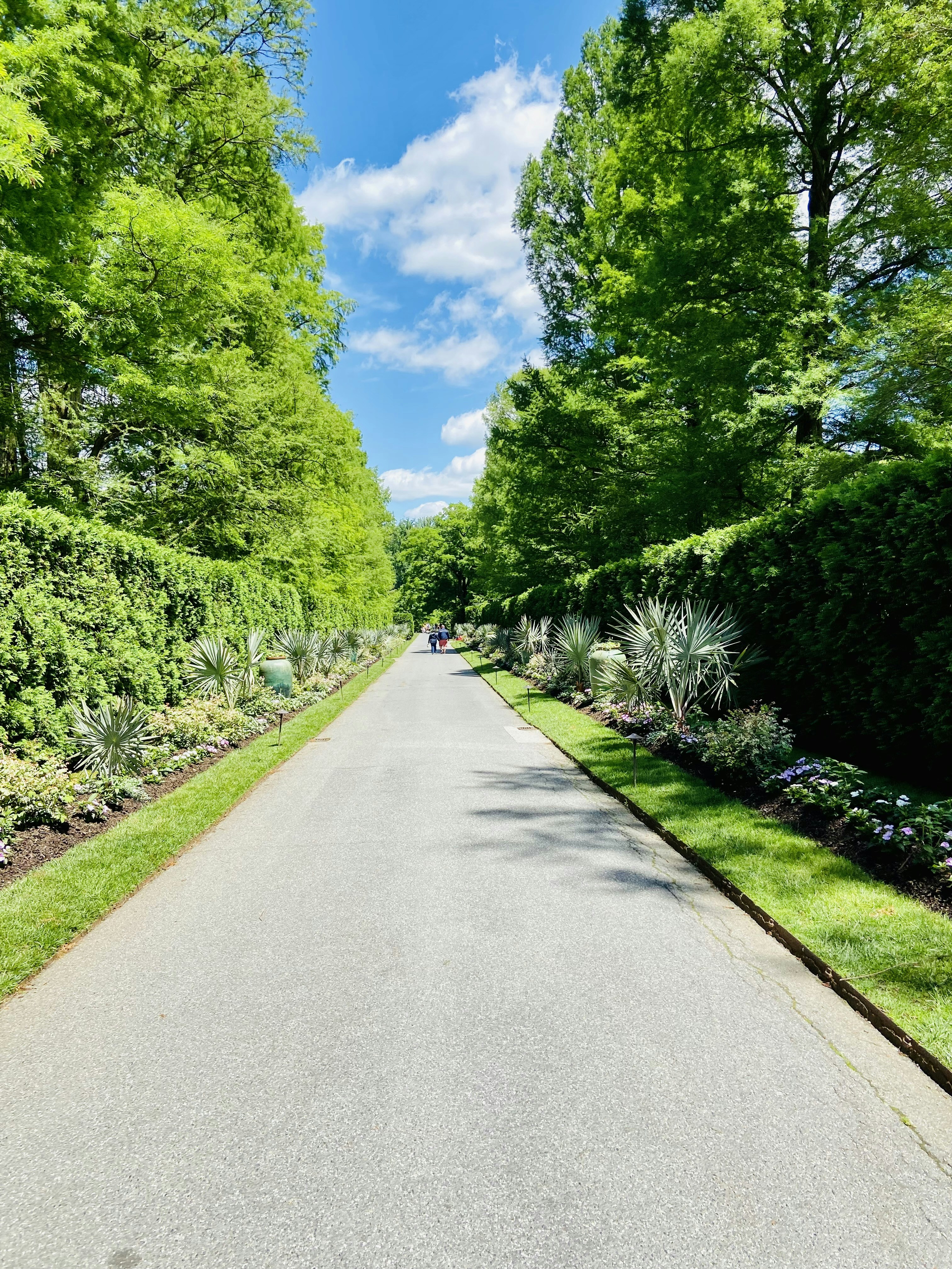A serene garden pathway flanked by lush greenery and vibrant plants, leading towards a distant gathering of visitors. Sunlight filters through the trees, creating a peaceful atmosphere.
