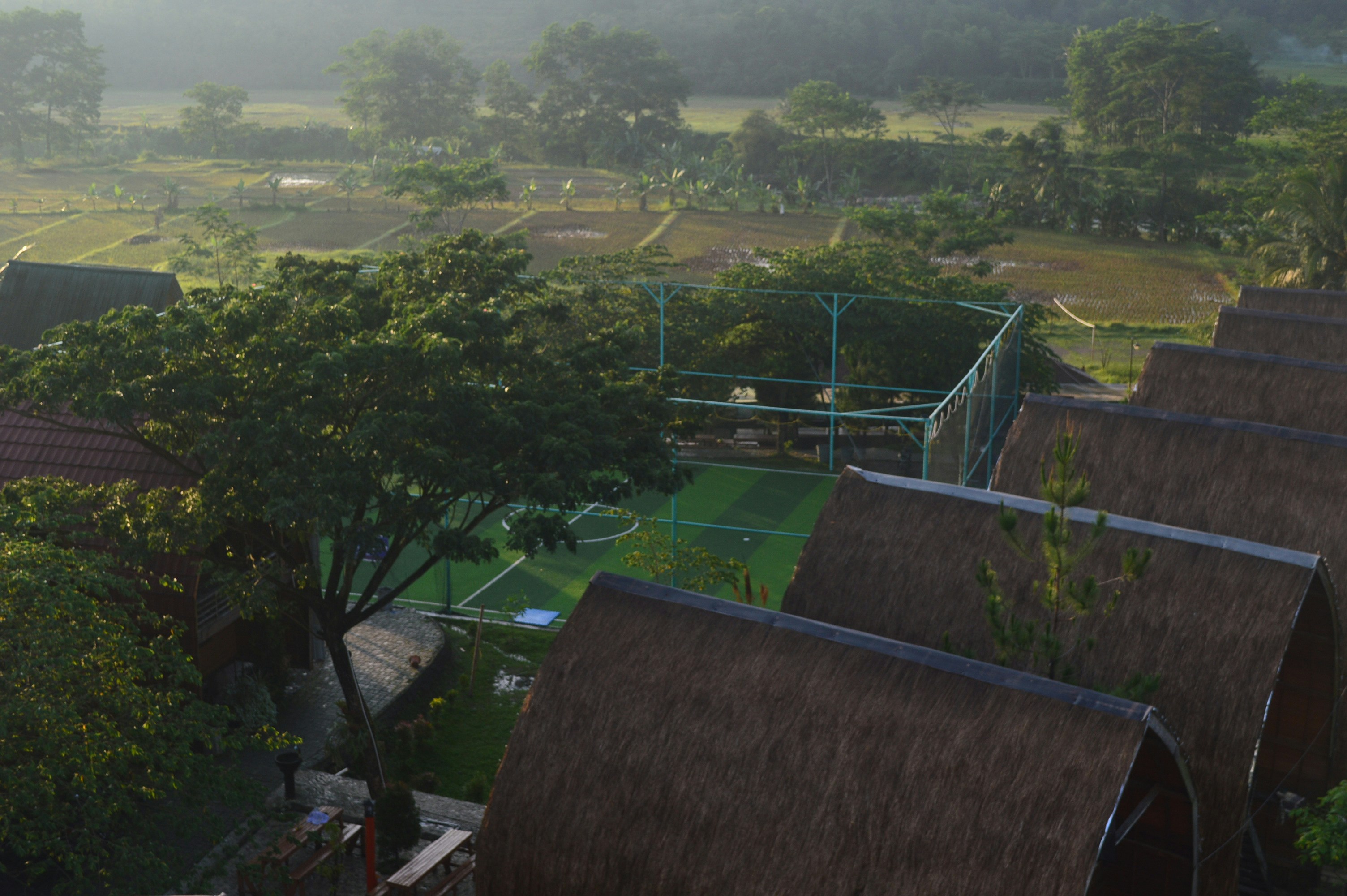 Rooftop Vista Over a Hidden Courtyard Sports Court