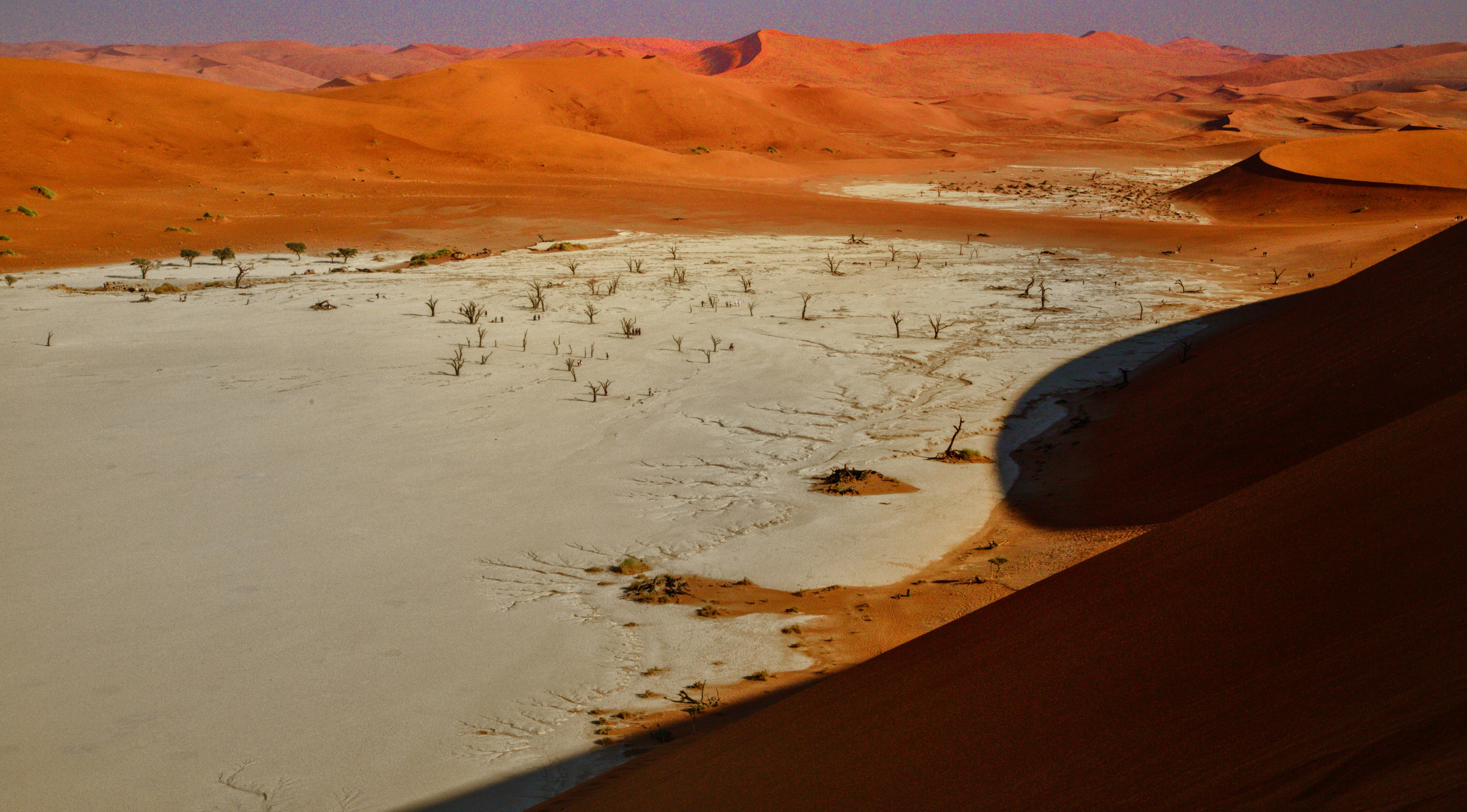 Outlook from the dune big daddy onto the dead camelthorn trees of the deadvlei