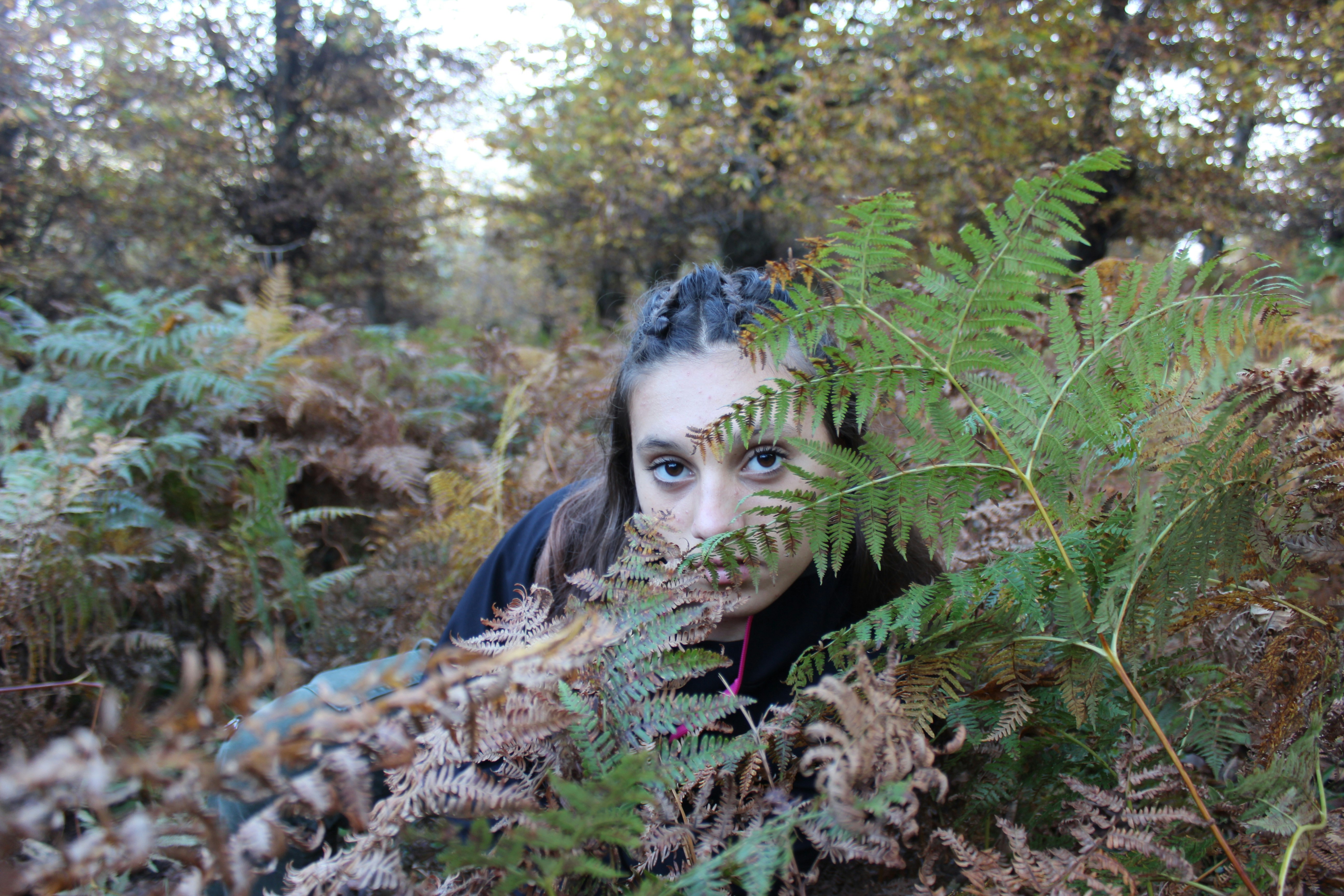 A woman hiding behind a fern in a forest photo – Free Plant Image on ...