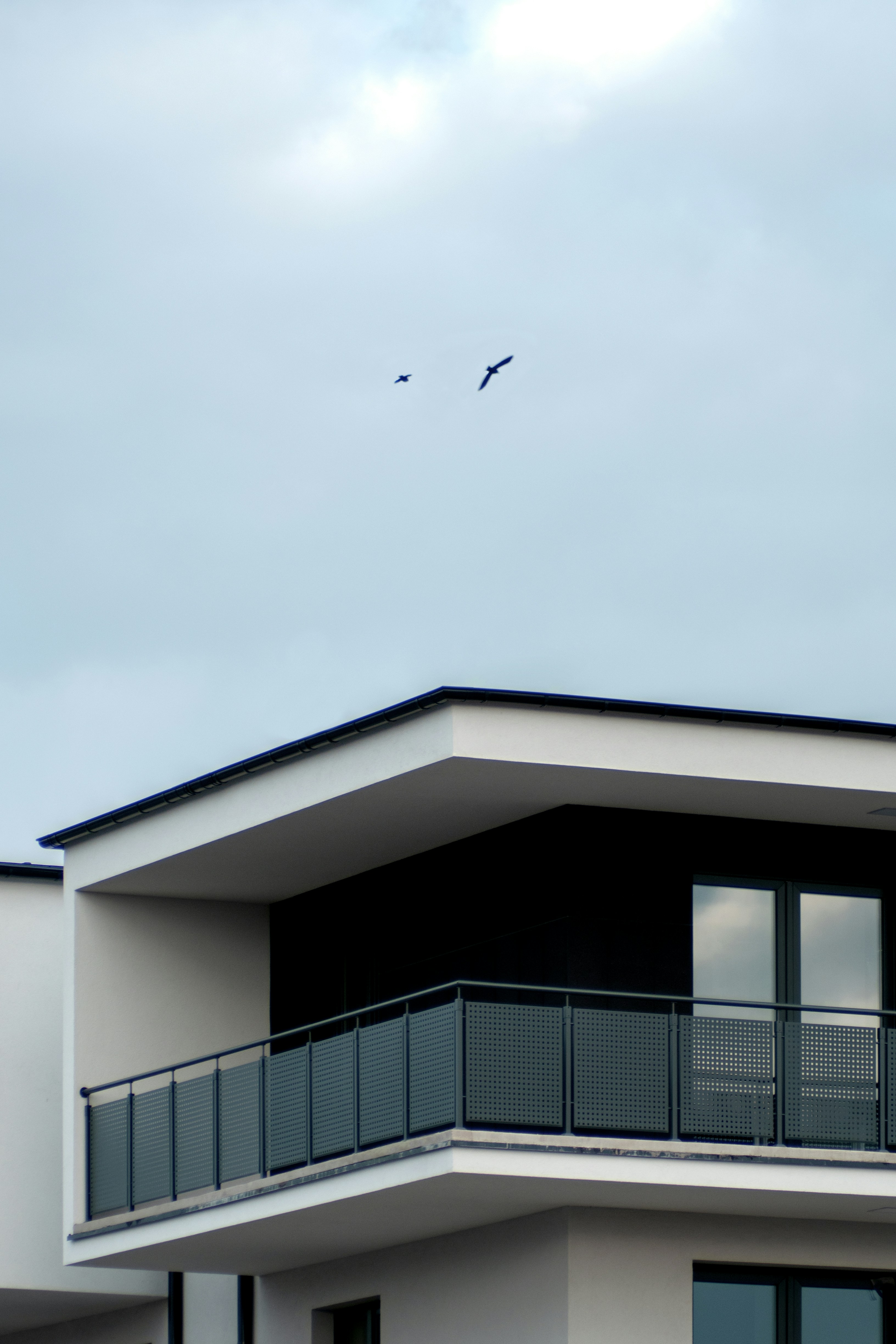 Contemporary building balcony with a sleek design, showcasing two birds in flight against a cloudy backdrop.