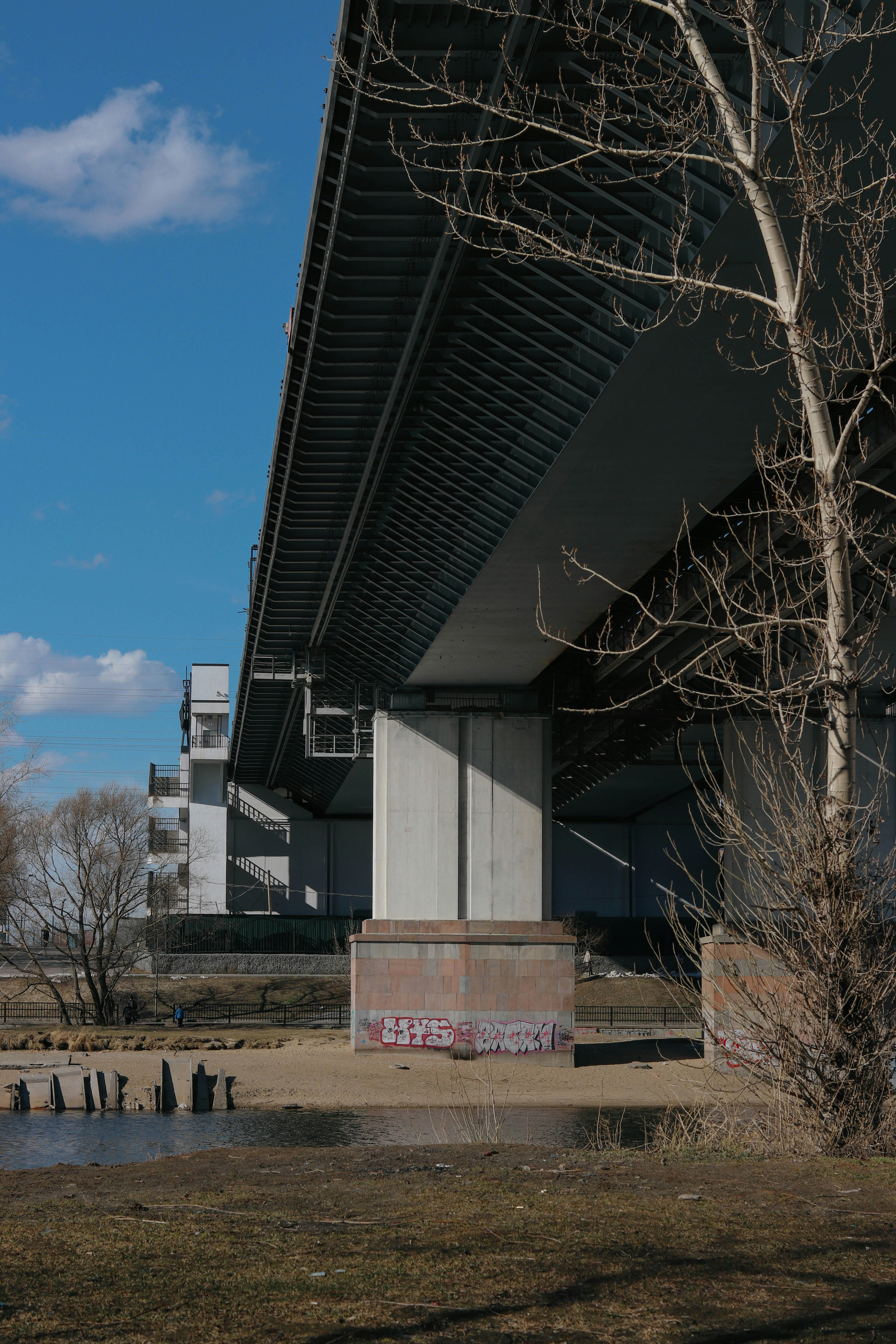 Concrete bridge structure looming over a riverbank, framed by sparse trees and a clear blue sky. Graffiti adds a splash of color to the scene.