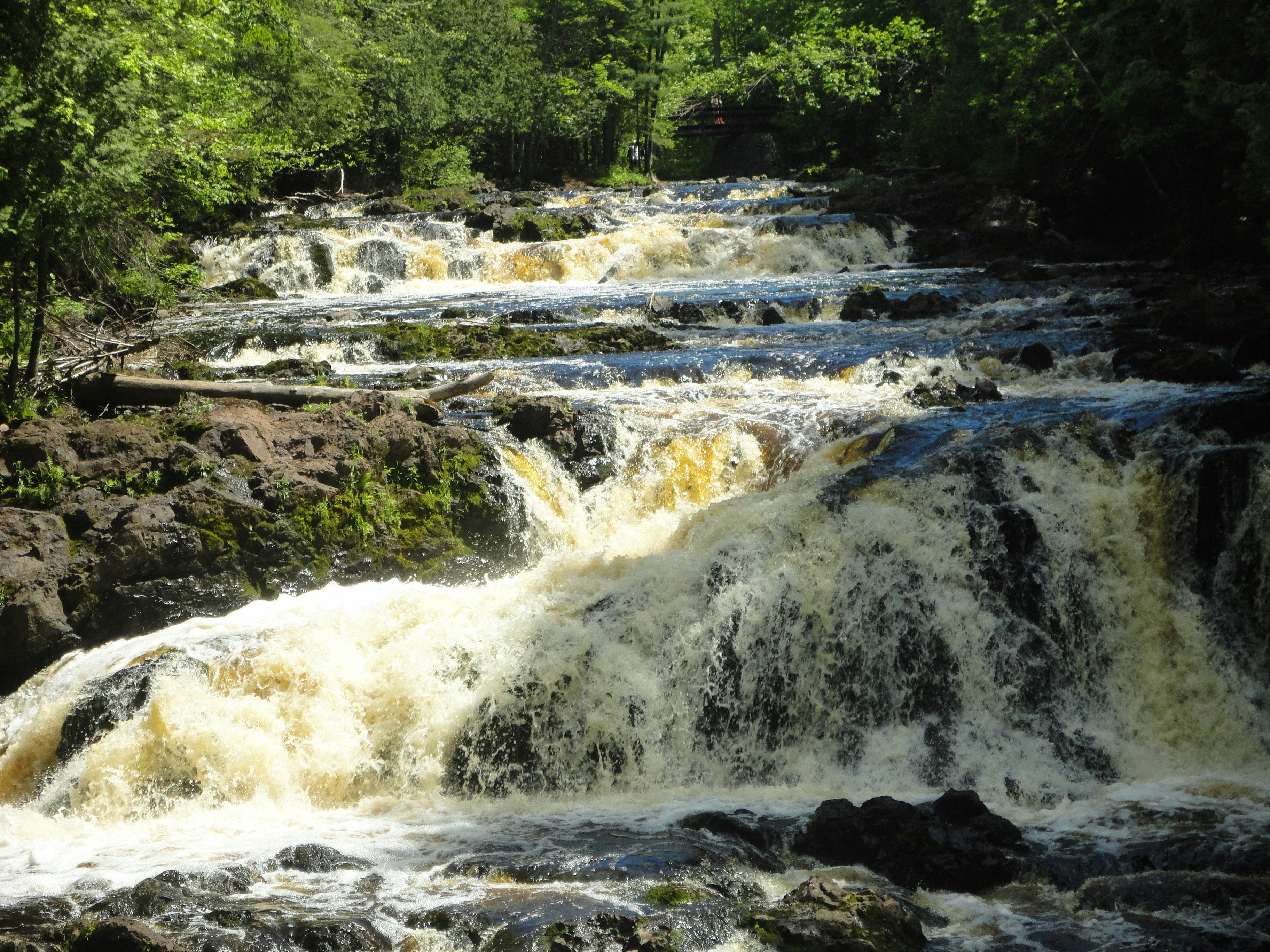 Rushing water flows over rocky terrain in a vibrant forest setting, showcasing the dynamic beauty of a waterfall. Sunlight filters through the trees, enhancing the scene.