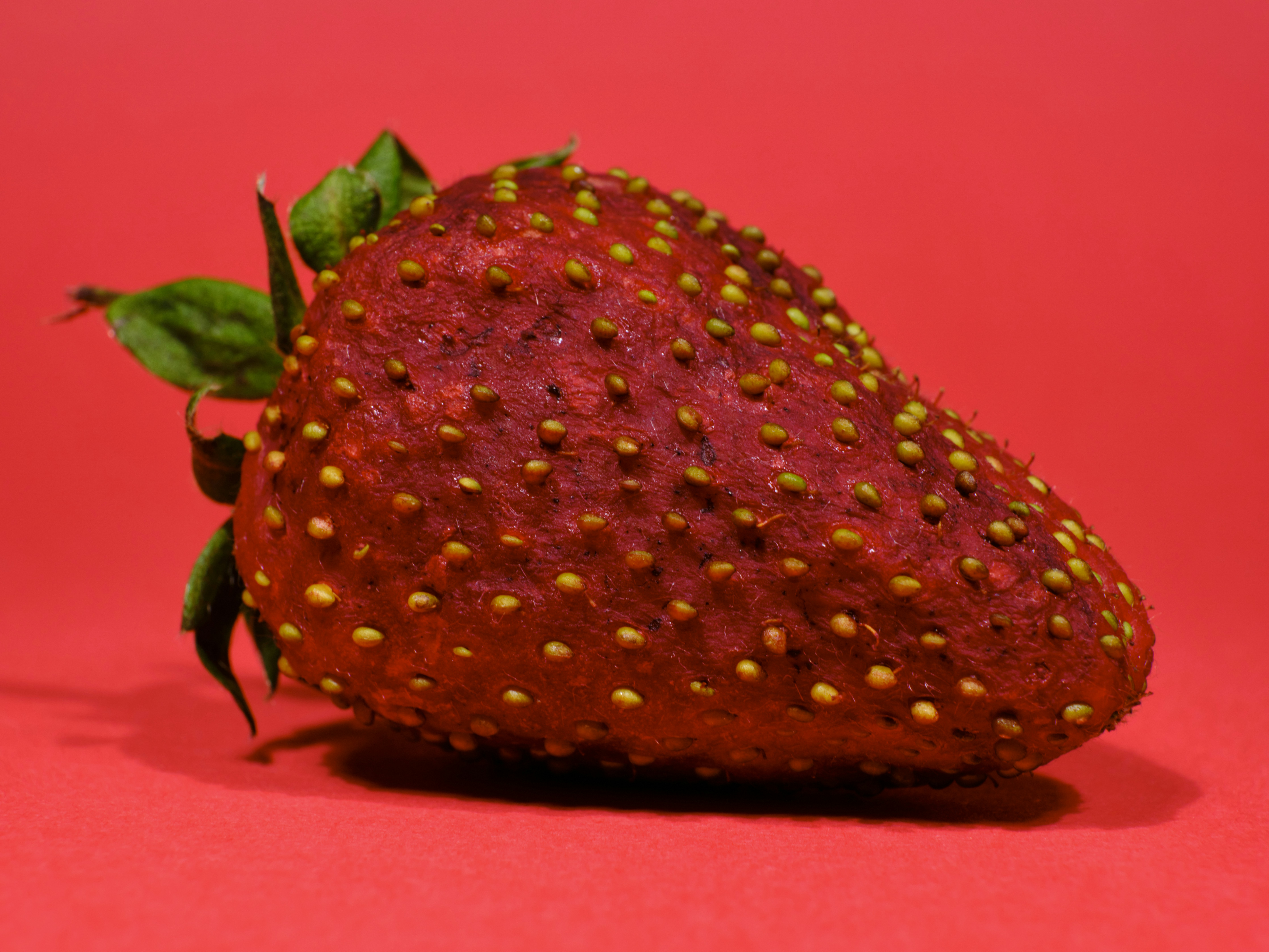 Strawbrave Pictures | Download Free Images on Unsplash