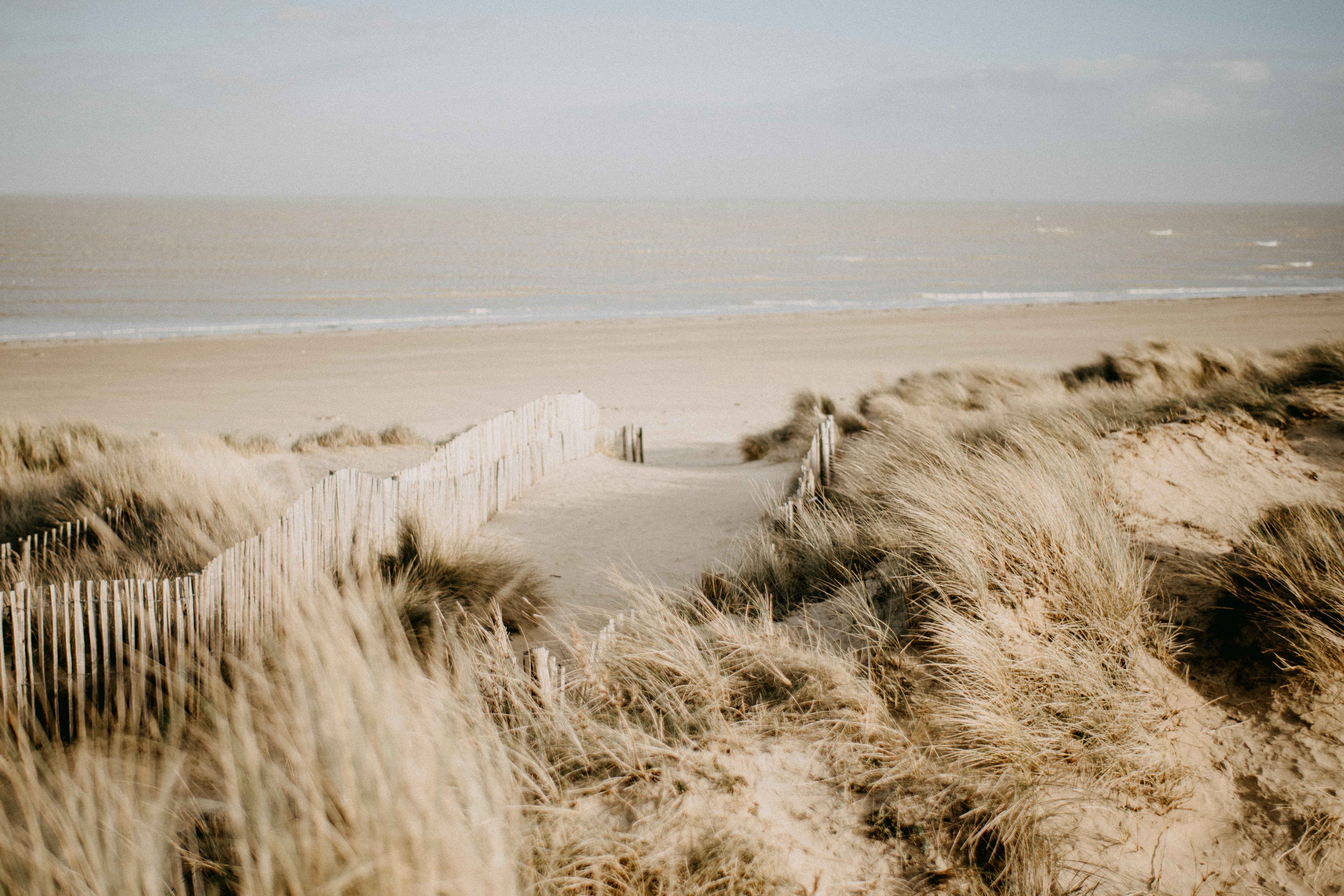 Foto zum Thema Ein Sandweg, der zum Strand führt – Kostenloses Bild zu ...