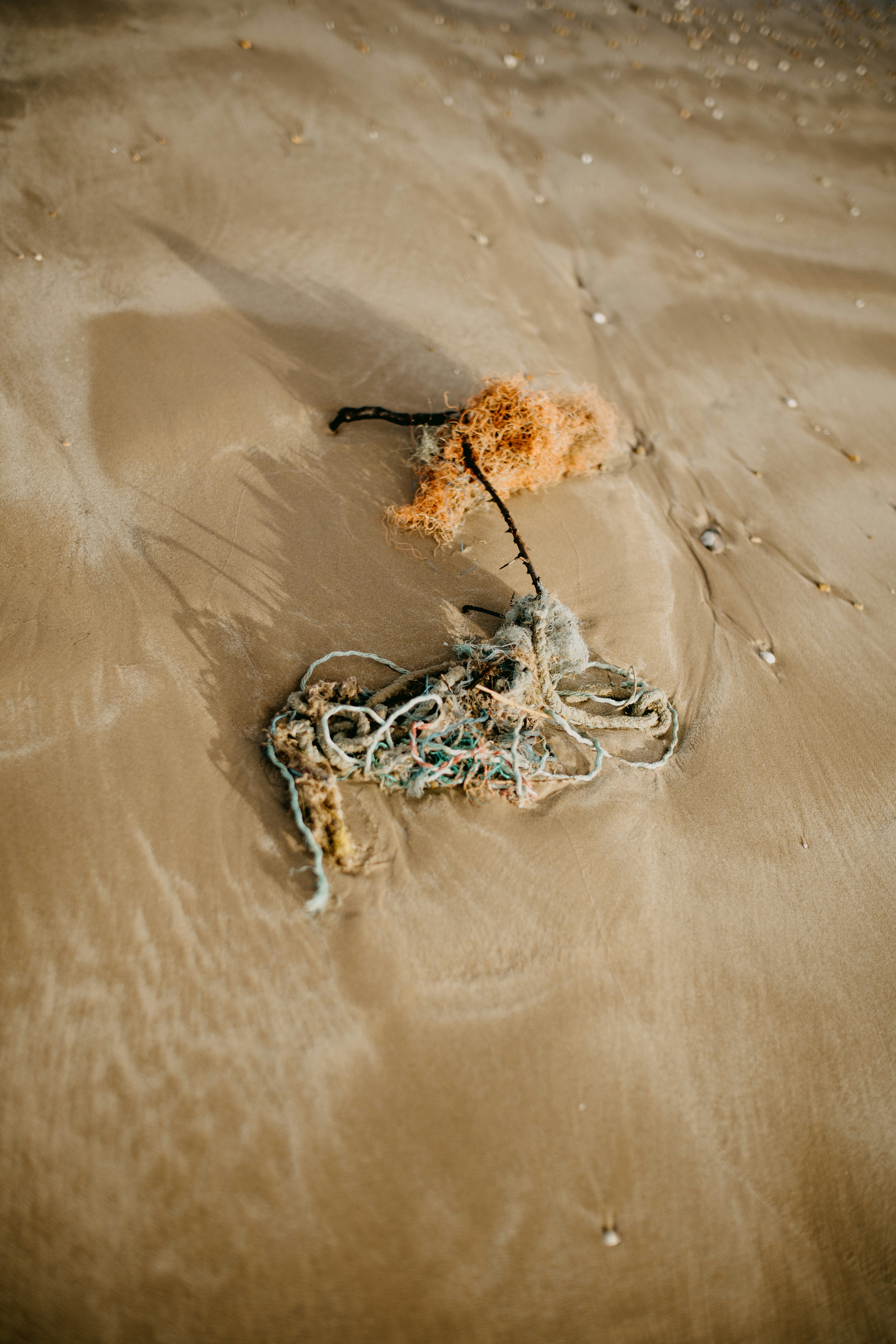 Colorful sea debris resting on wet sand, illuminated by soft natural light. The textures of the materials contrast with the smooth surface of the beach.