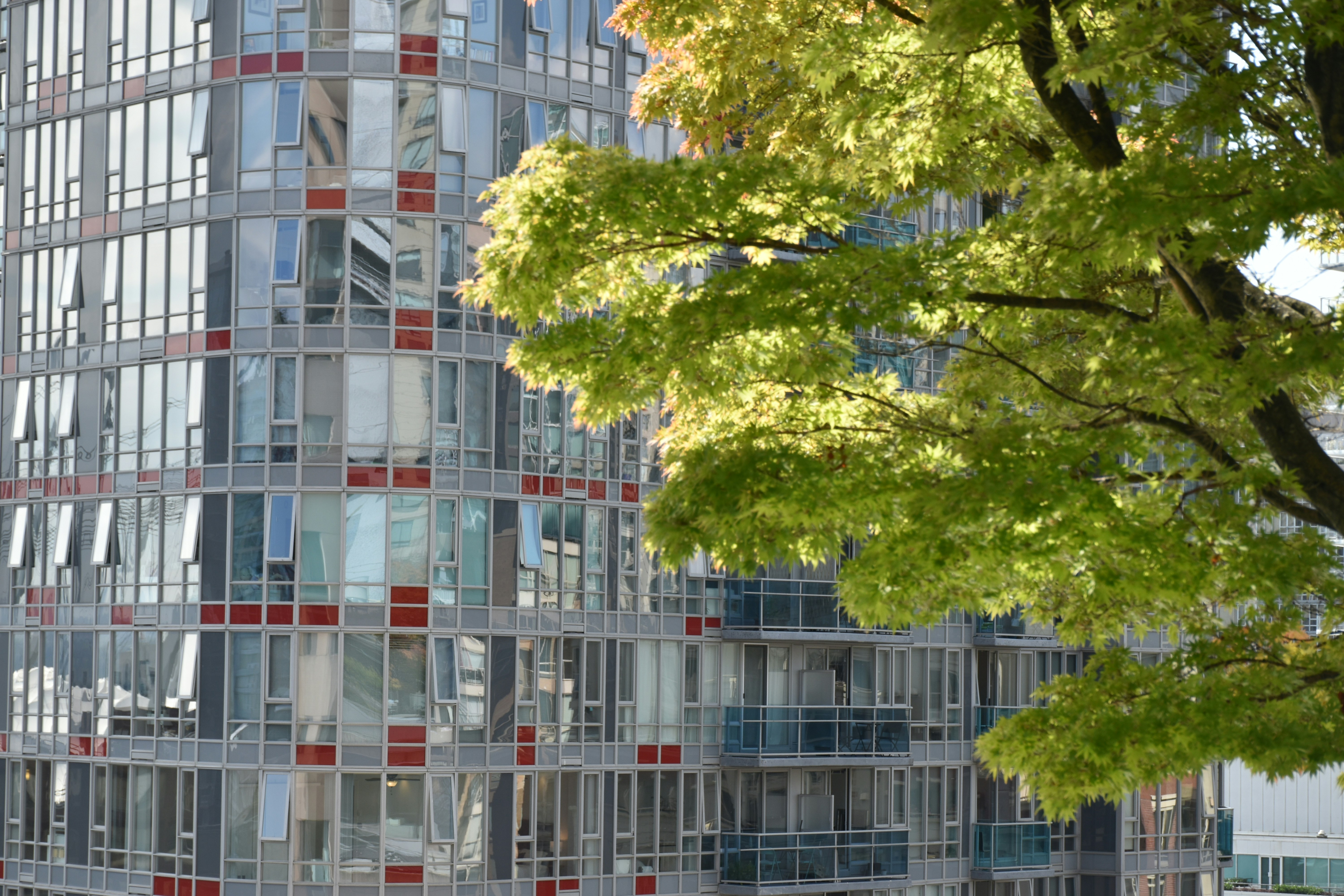 A modern glass building reflects its surroundings, framed by vibrant green foliage. The juxtaposition highlights the harmony between nature and architecture.
