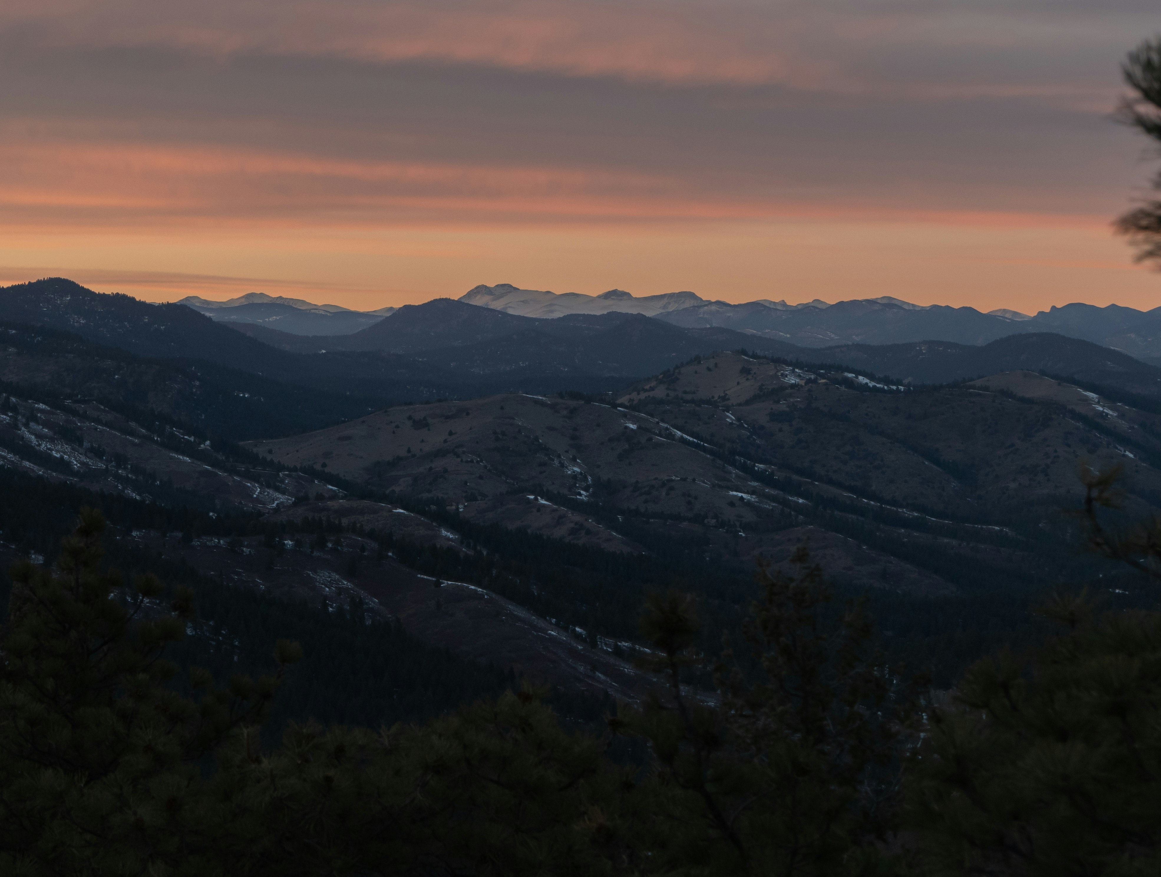 Snow-dusted mountain ridges glow beneath a pink-orange sunset. Dark pine silhouettes frame the foreground, highlighting the expansive landscape.