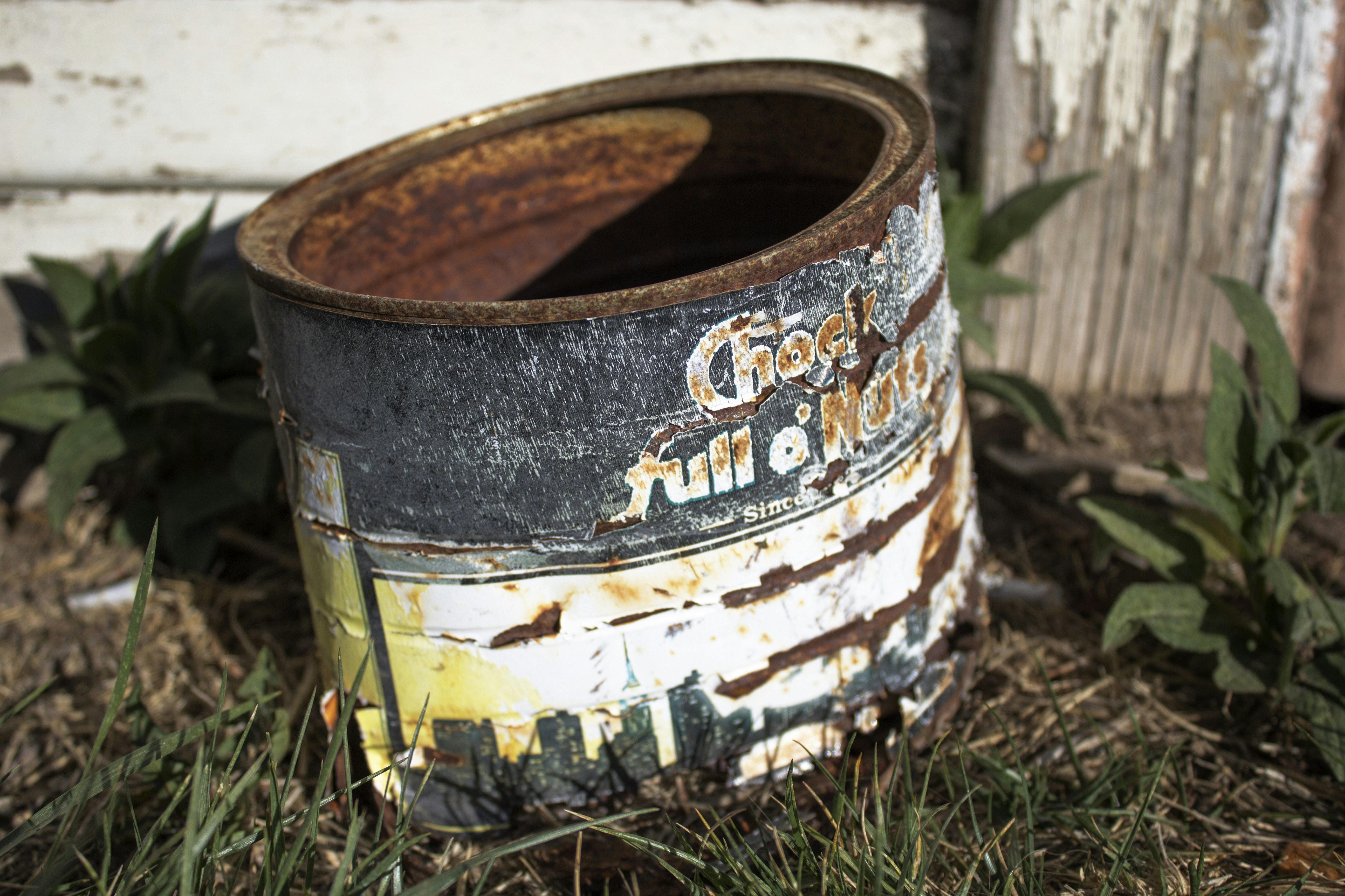 Tilted Rust: A Weathered Tin Can at the Edge of a Sunlit Verge
