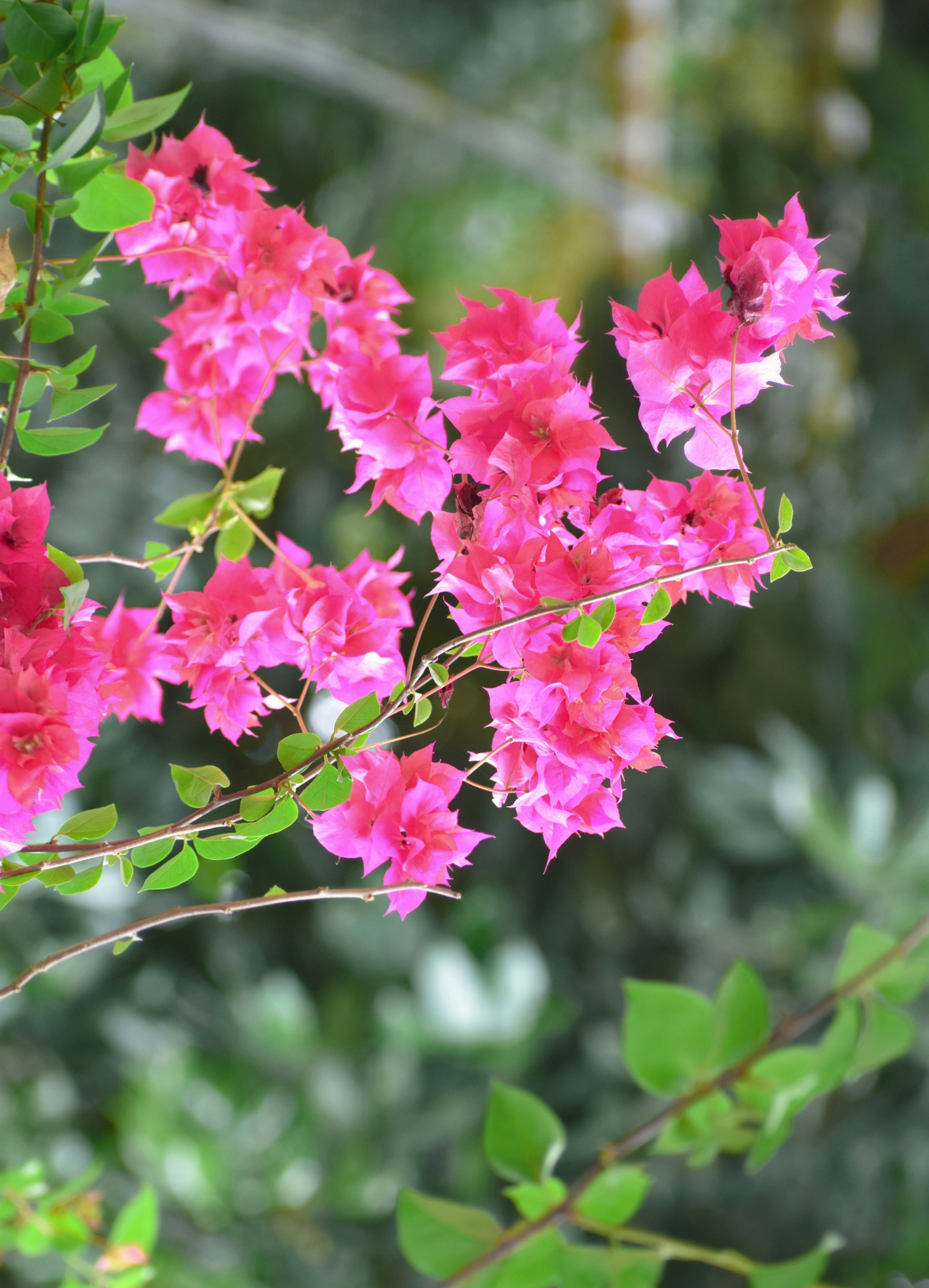 RUHUL AMIN (@amin_1992) | Unsplash Photo Community