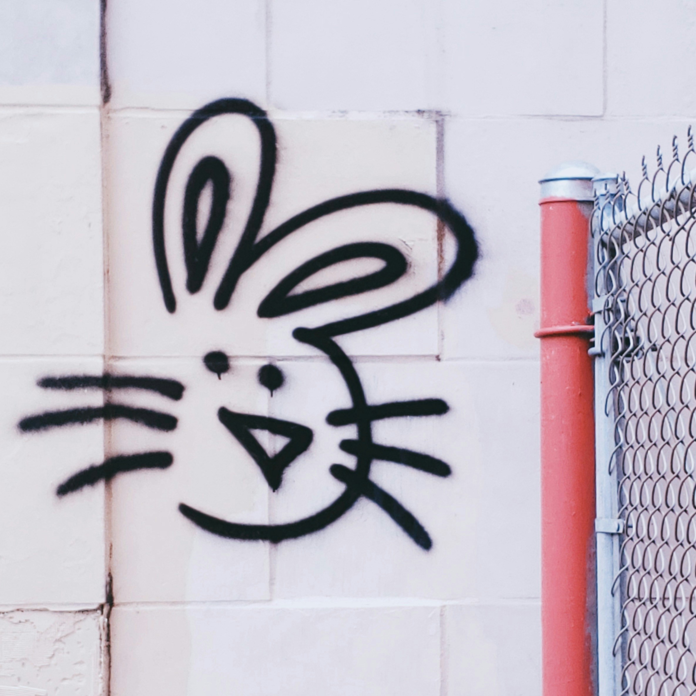 A graffiti of a rabbit on a white brick wall photo – Free City Image on ...