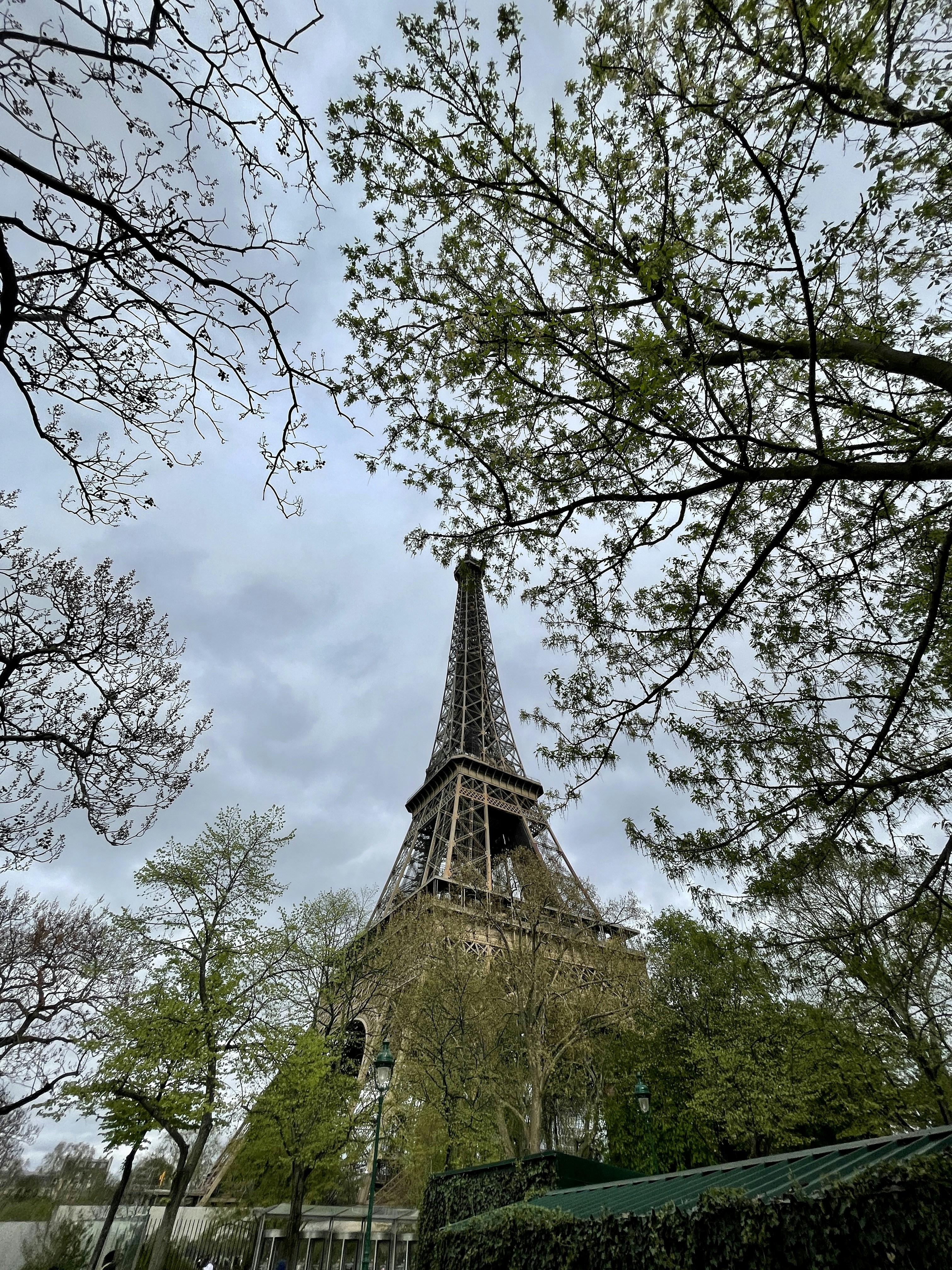 Photograph of the Eiffel Tower framed by budding trees in a Paris park against a pale blue sky.
