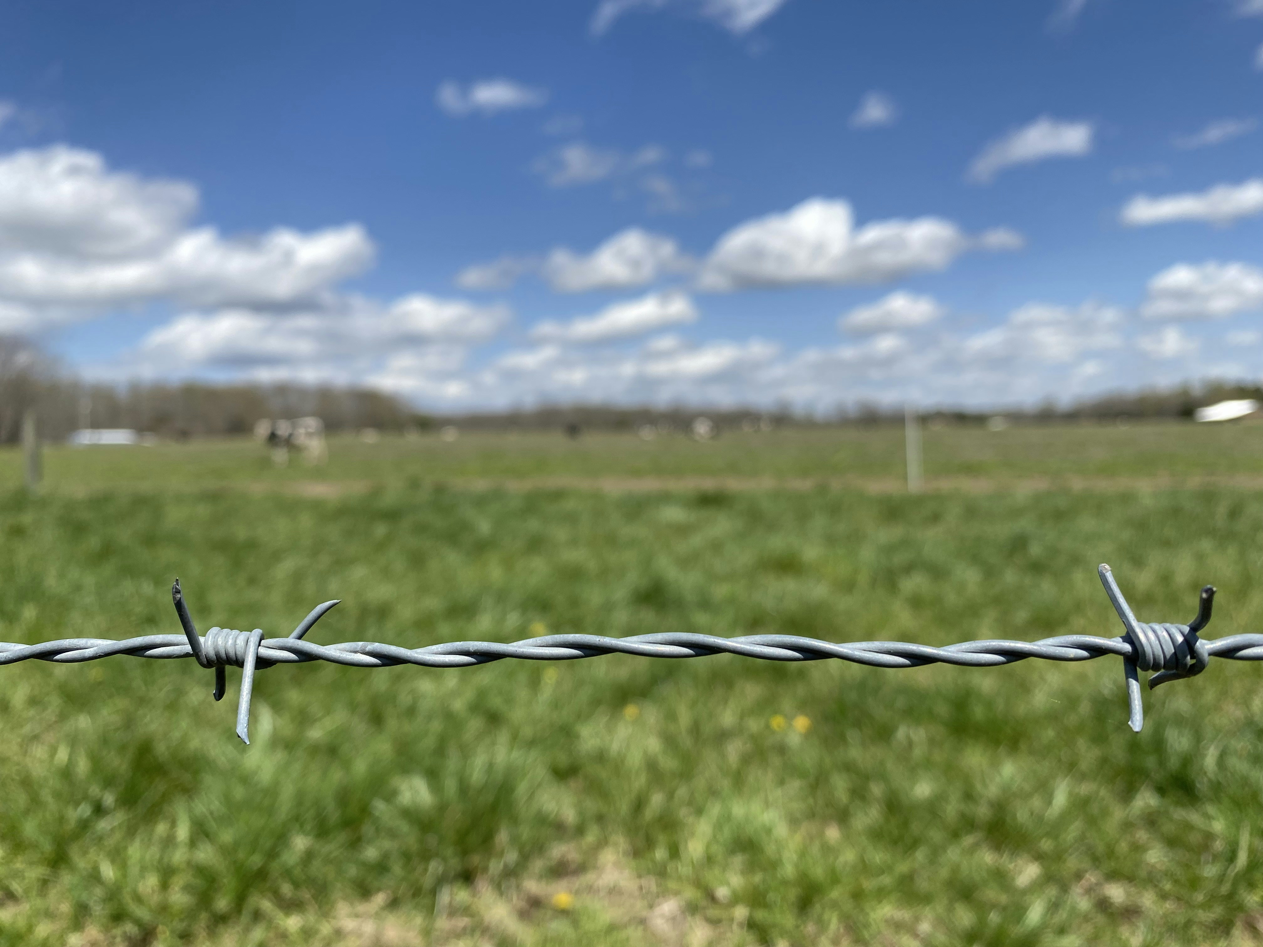 Ein Stacheldrahtzaun mit einem Feld im Hintergrund Foto – Kostenloses ...