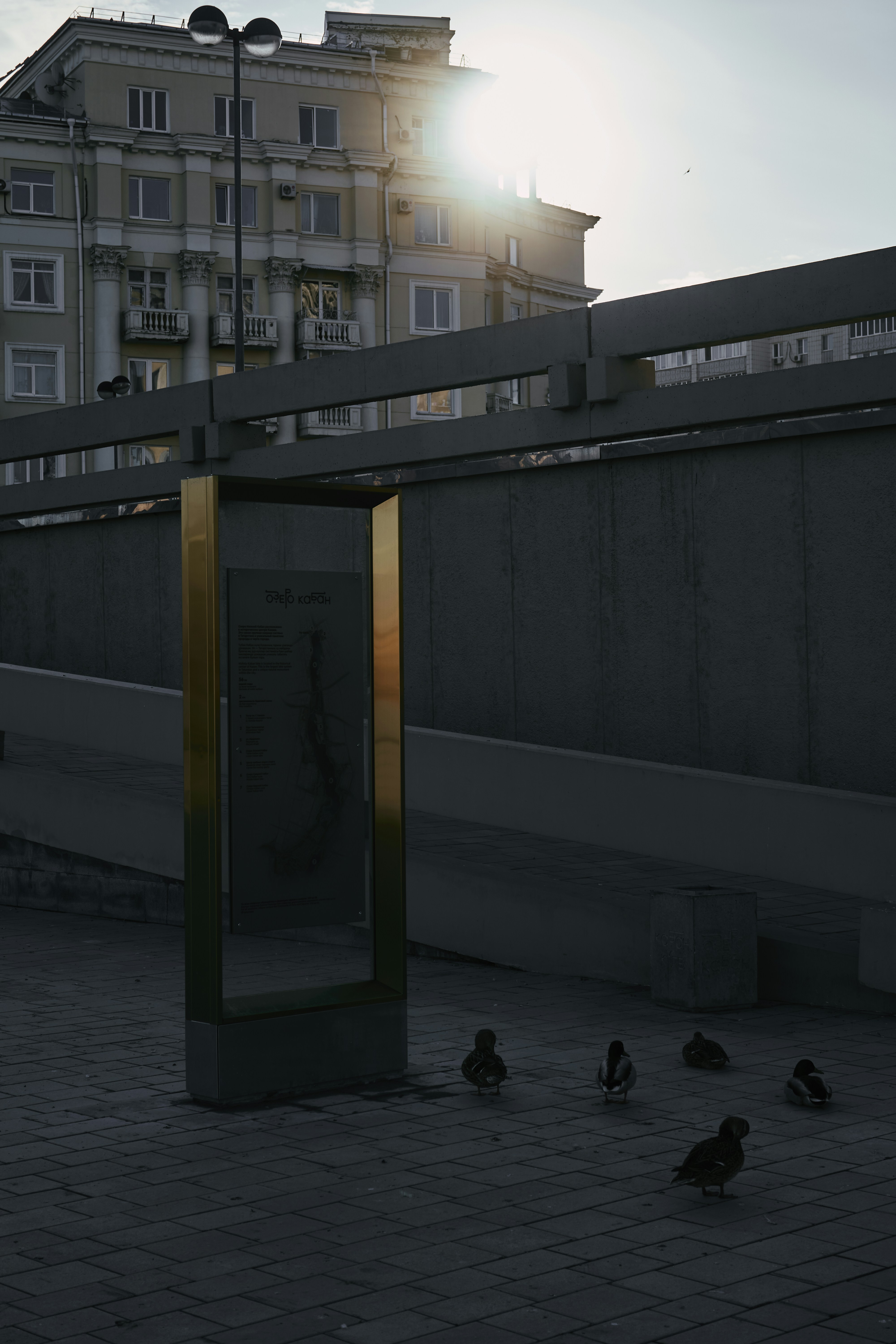 a group of birds sitting on the ground in front of a building