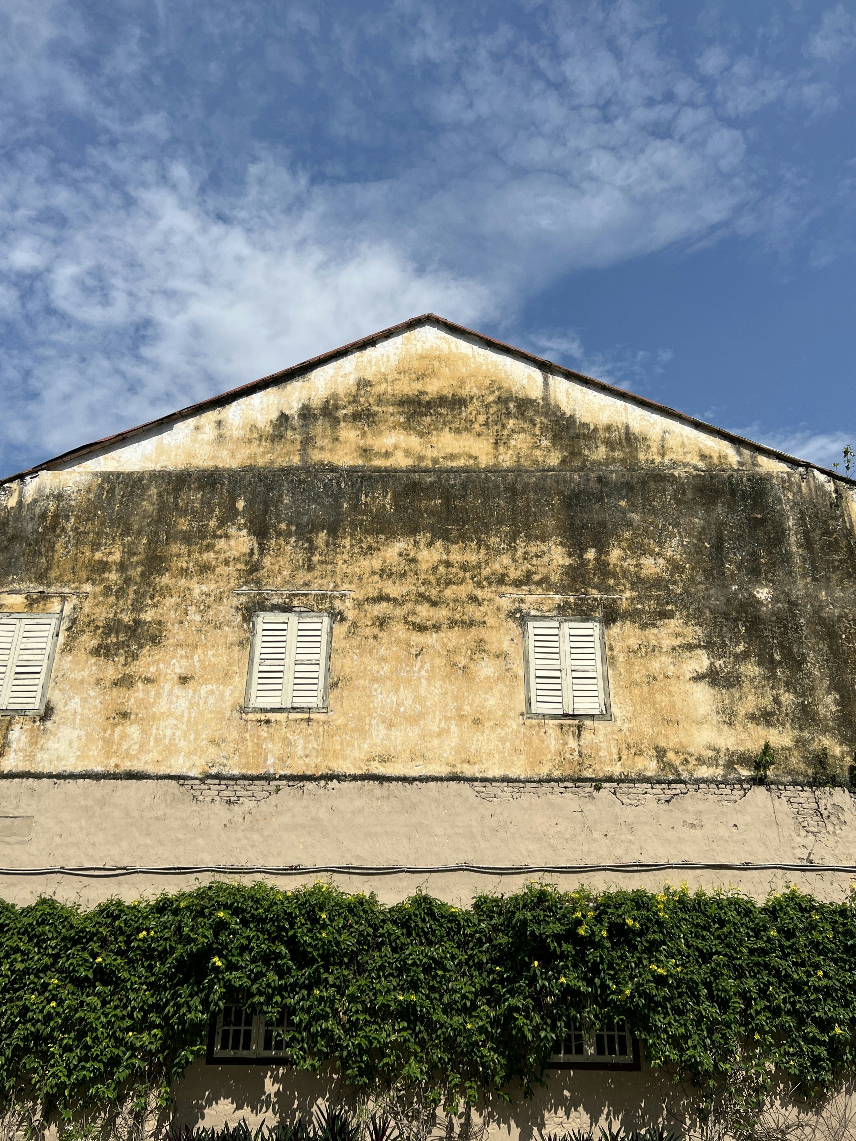 Sunlit Rustic Facade with Verdant Climb