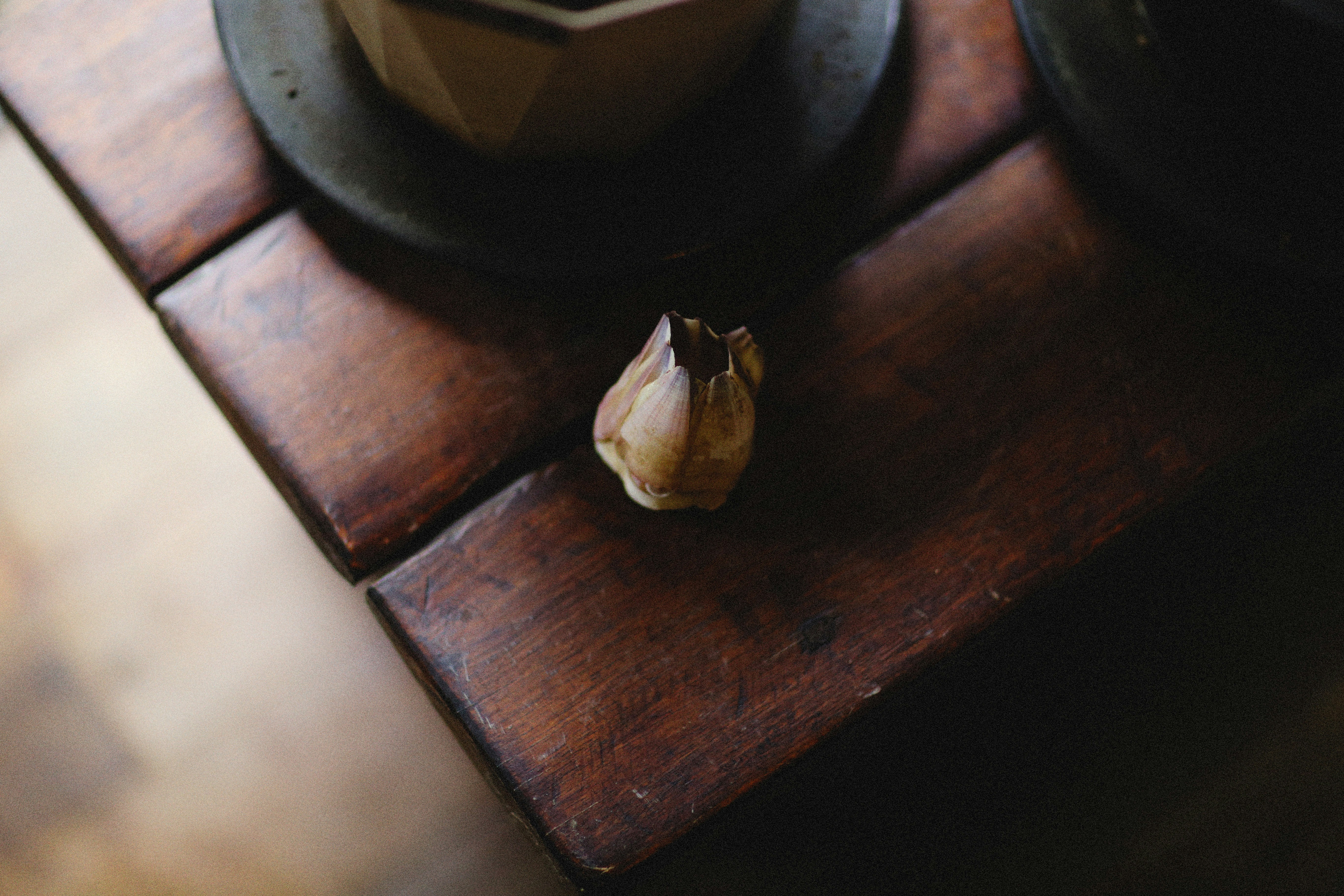 A single bud rests on a dark, polished wooden surface near a blurred container edge, highlighting texture and warm tones.