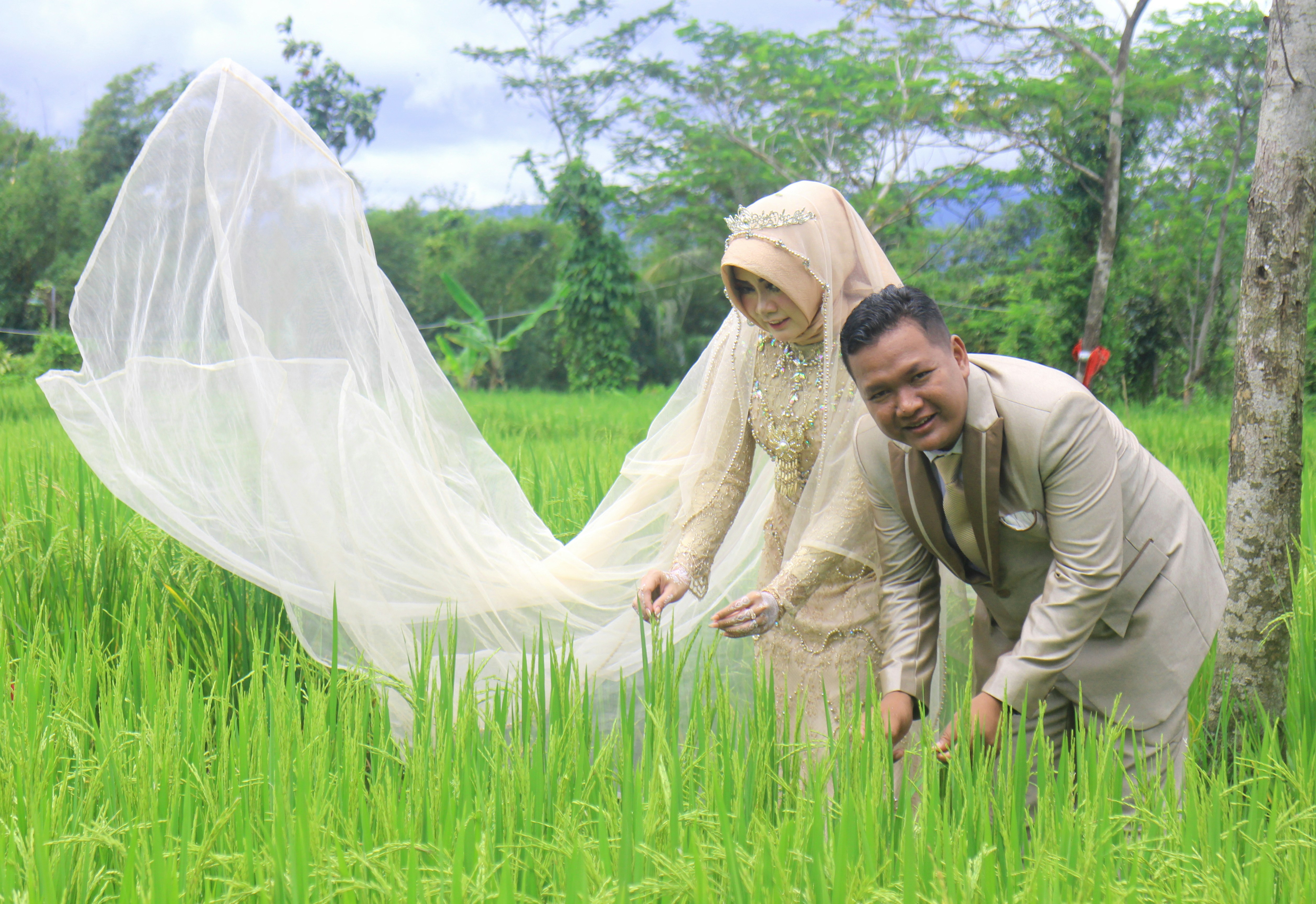 Couple in elegant wedding attire interacting with lush rice paddies, capturing a moment of connection in nature.