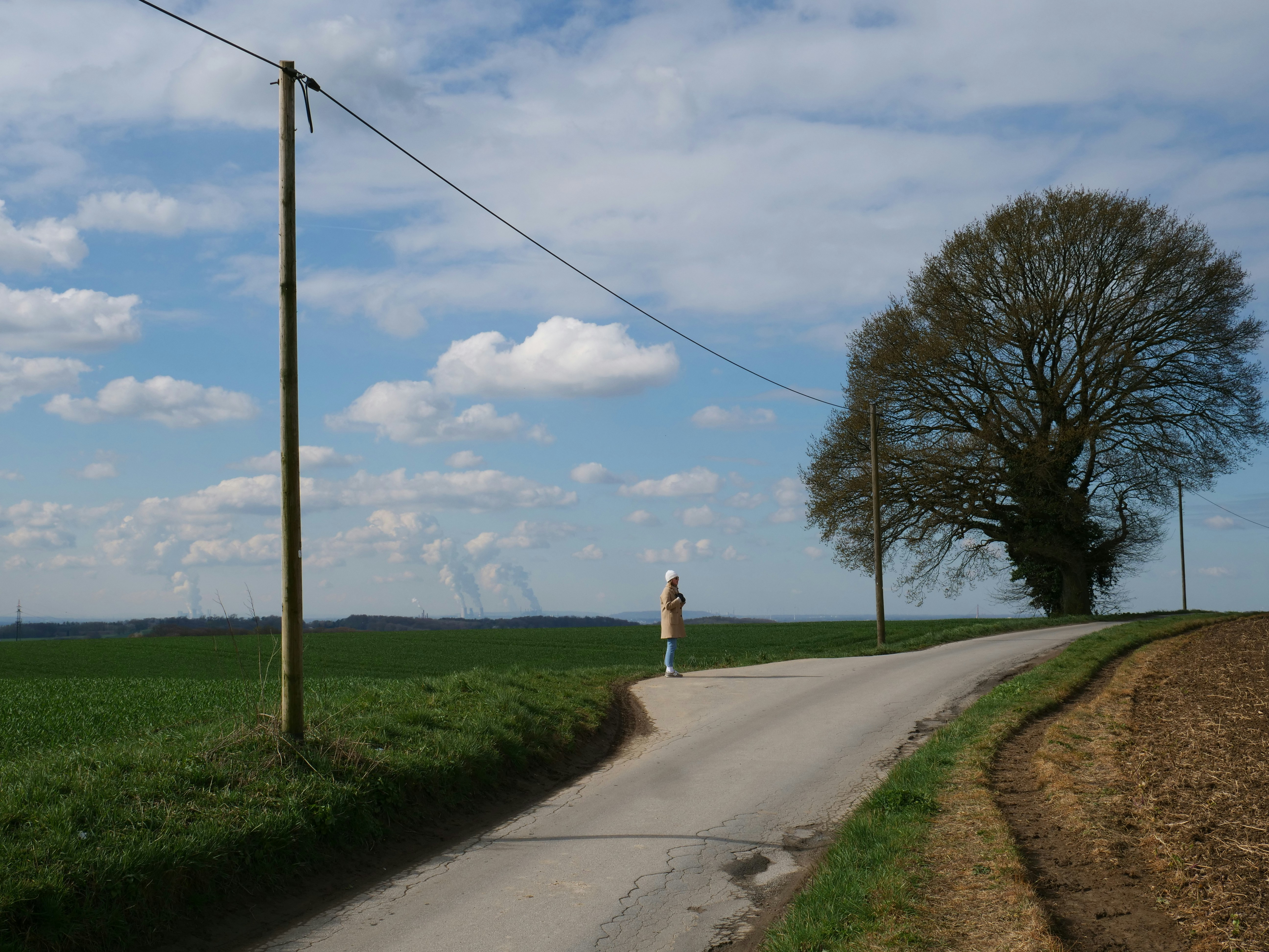 Person walking along a rural road lined with telephone poles and a large tree in the background under a cloudy sky.