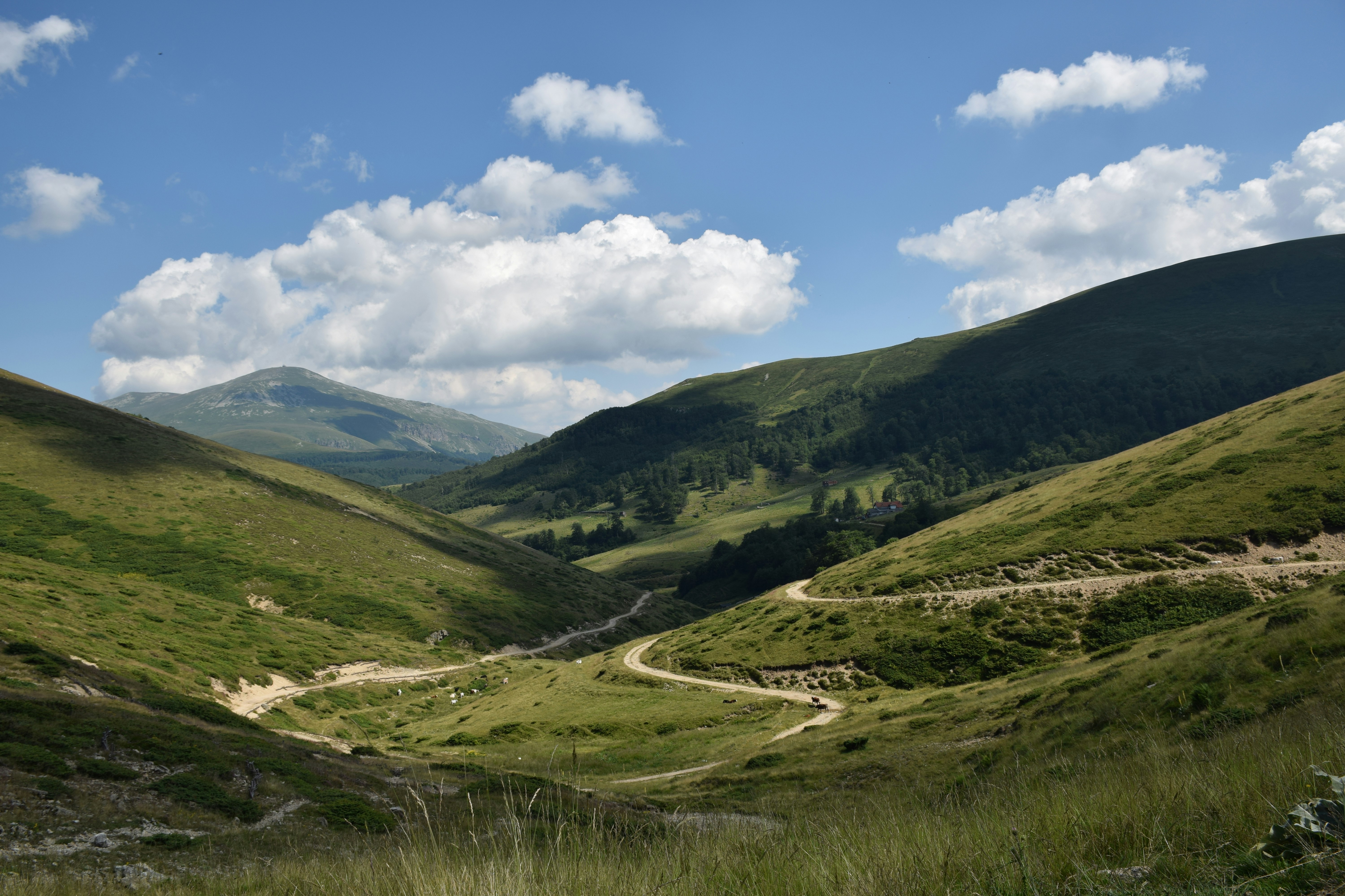A winding dirt road meanders through lush green valleys, framed by rolling hills and a bright blue sky dotted with fluffy clouds.