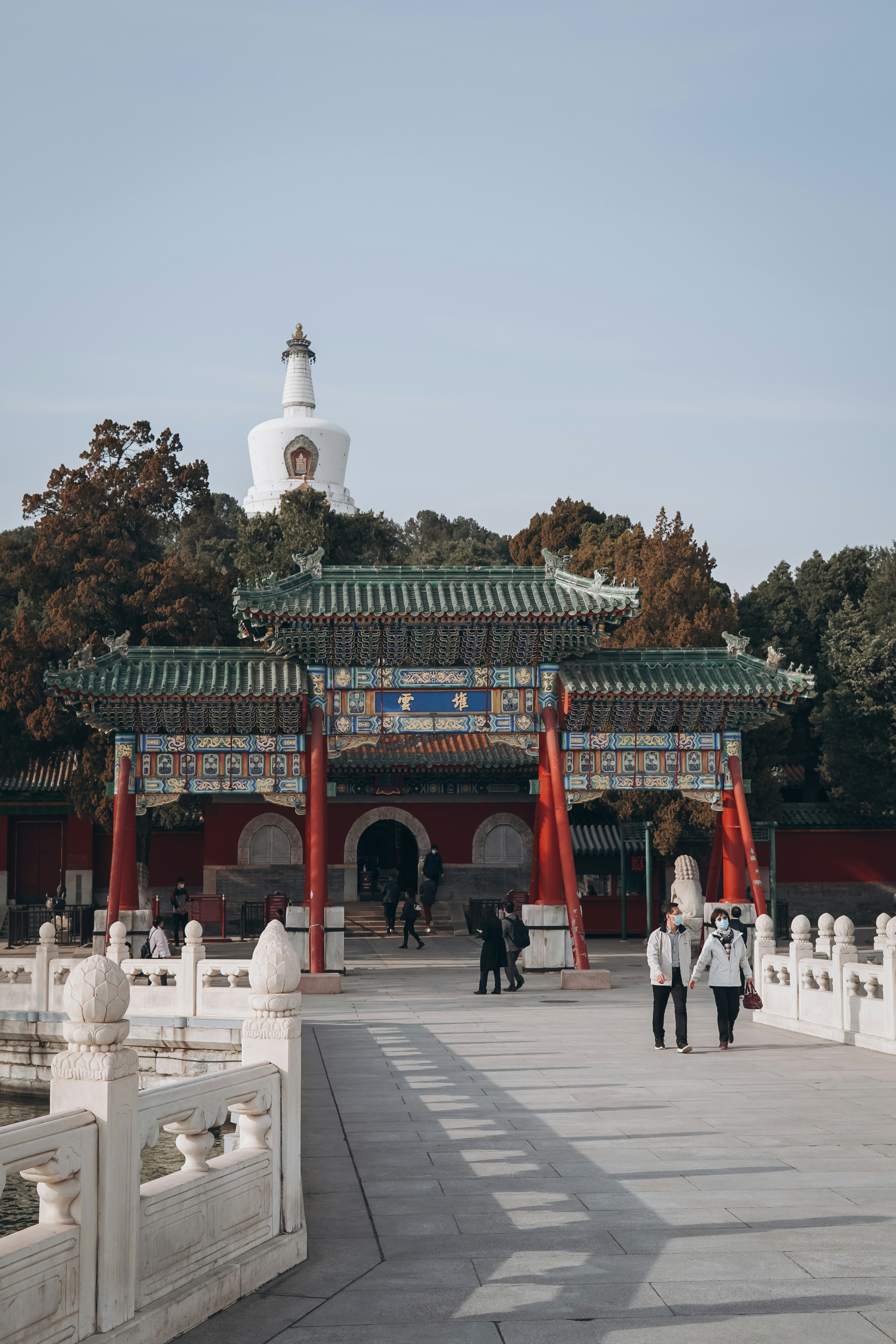 Traditional Chinese architecture with vibrant colors and intricate details, set against a serene backdrop of trees and a distant pagoda.