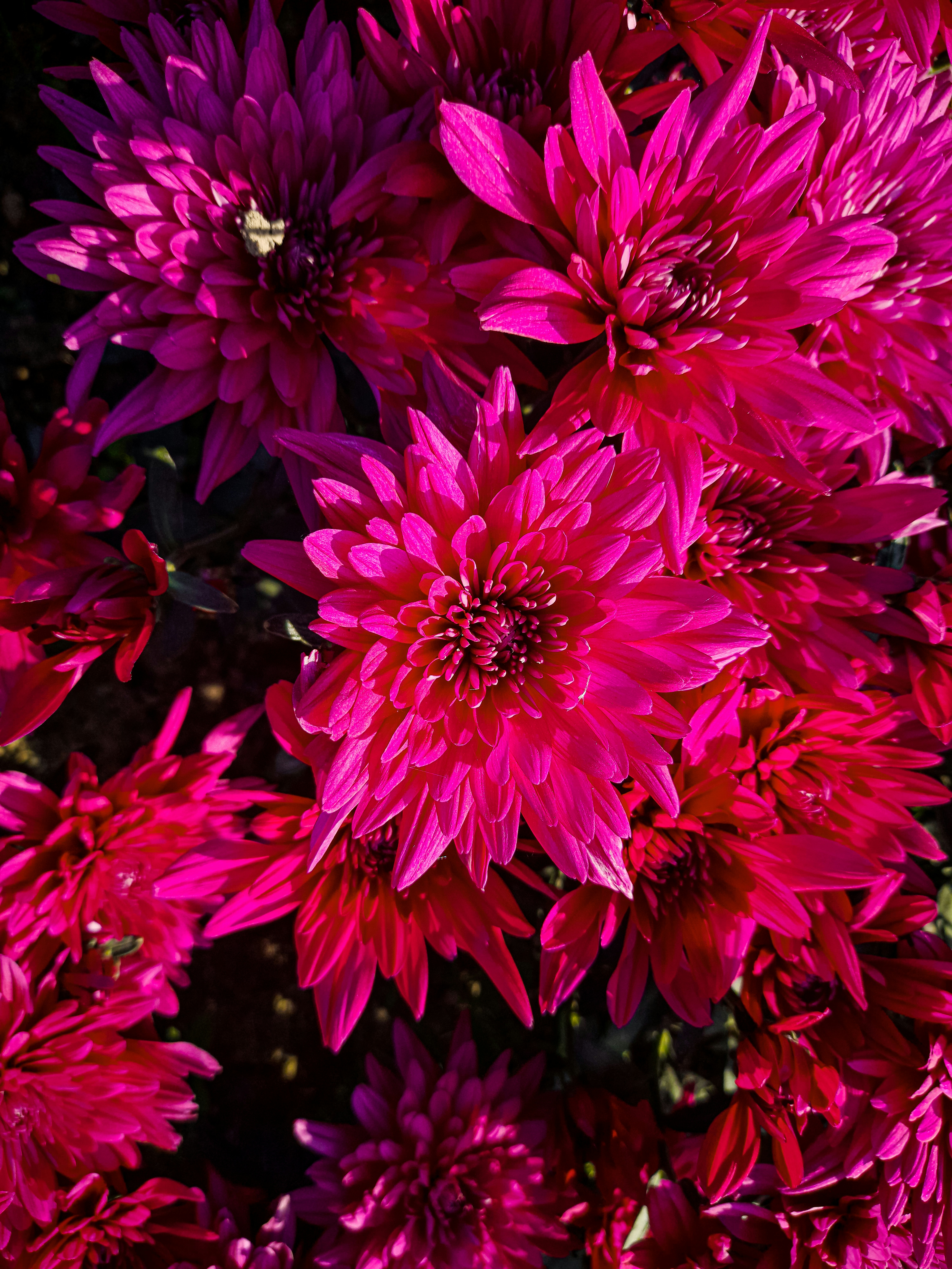 Rahul Ranjan (@rahulranjanext) | Unsplash 사진 커뮤니티