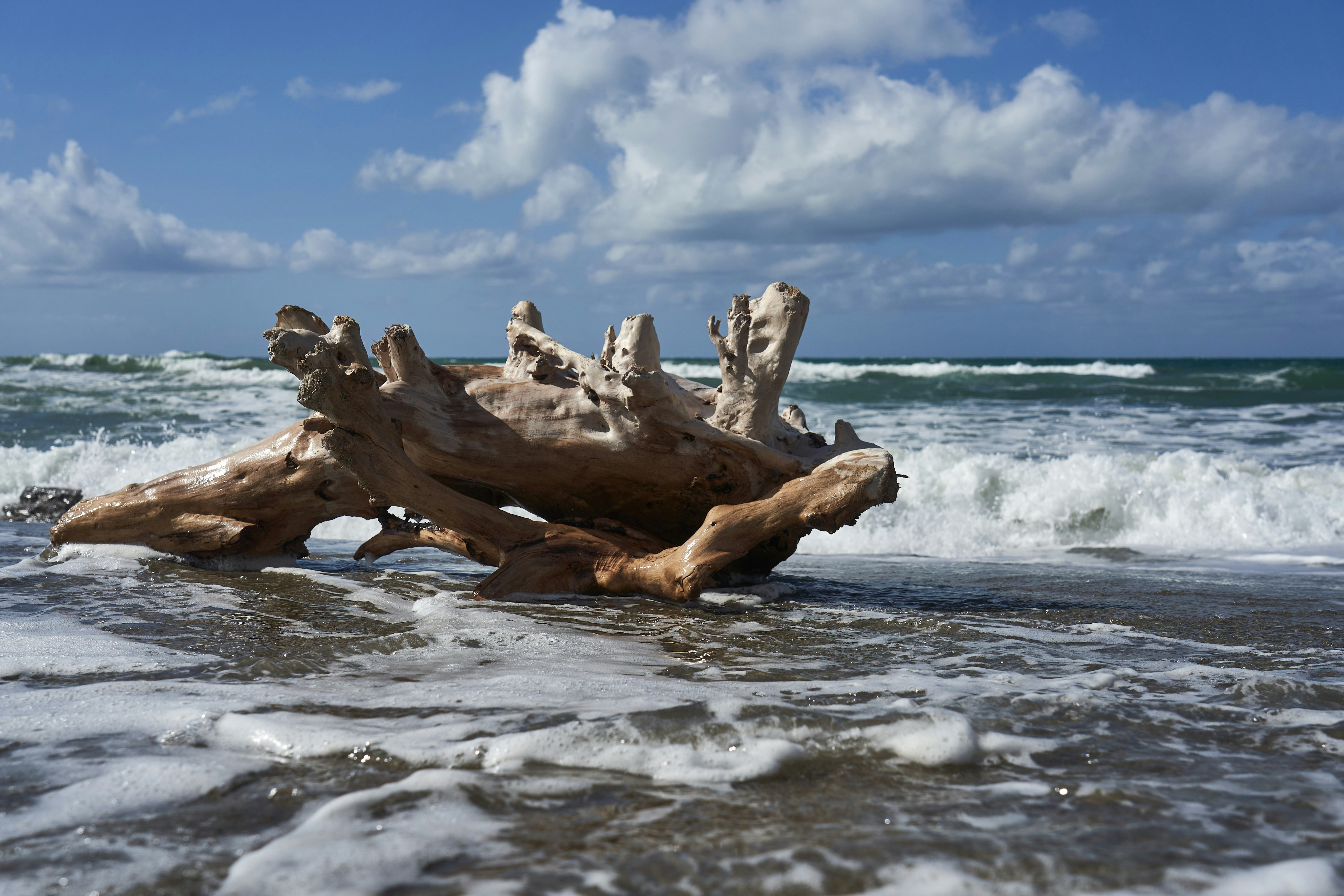 a large piece of driftwood sitting on top of a sandy beach