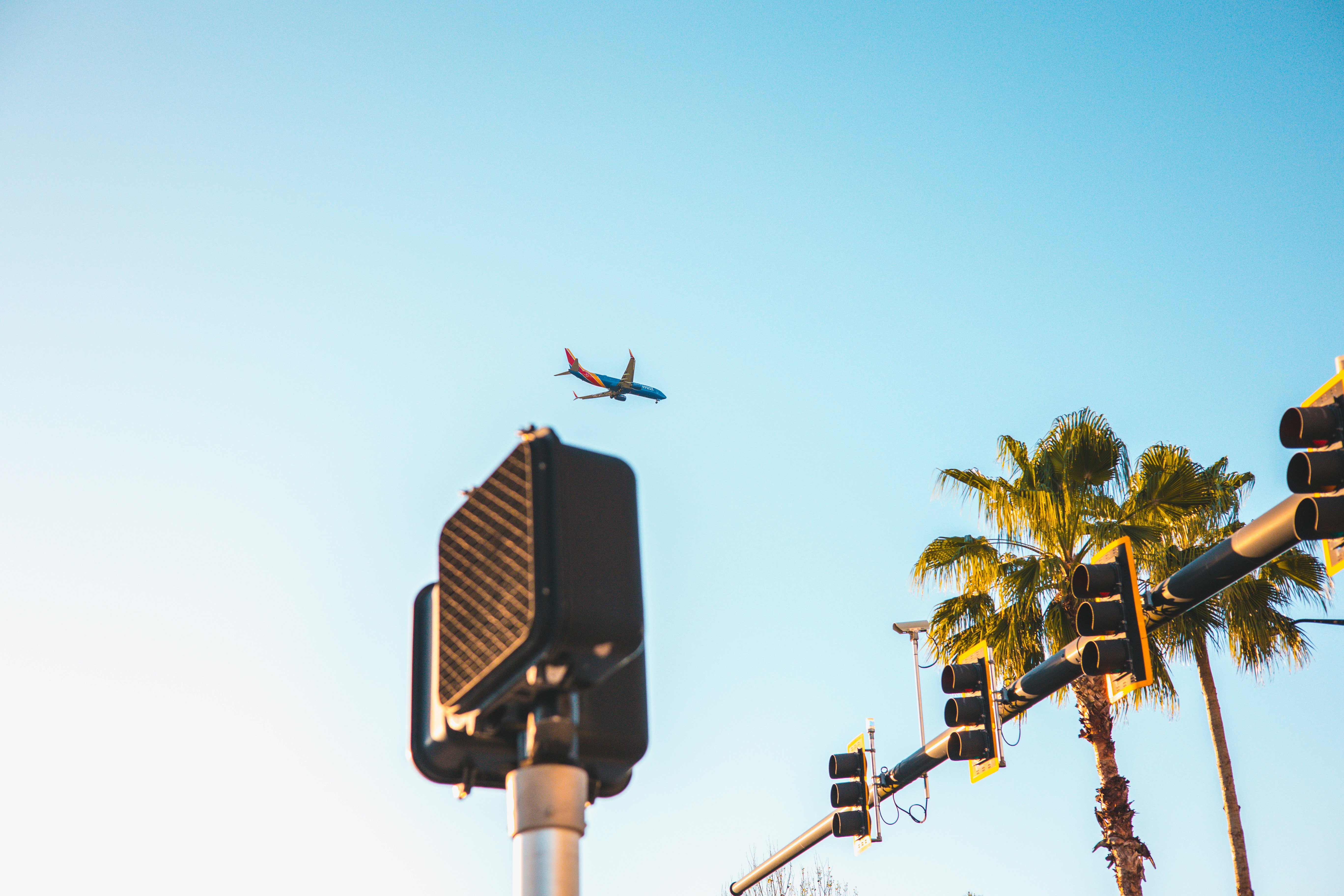 An airplane flying over a traffic light and palm trees photo – Free ...