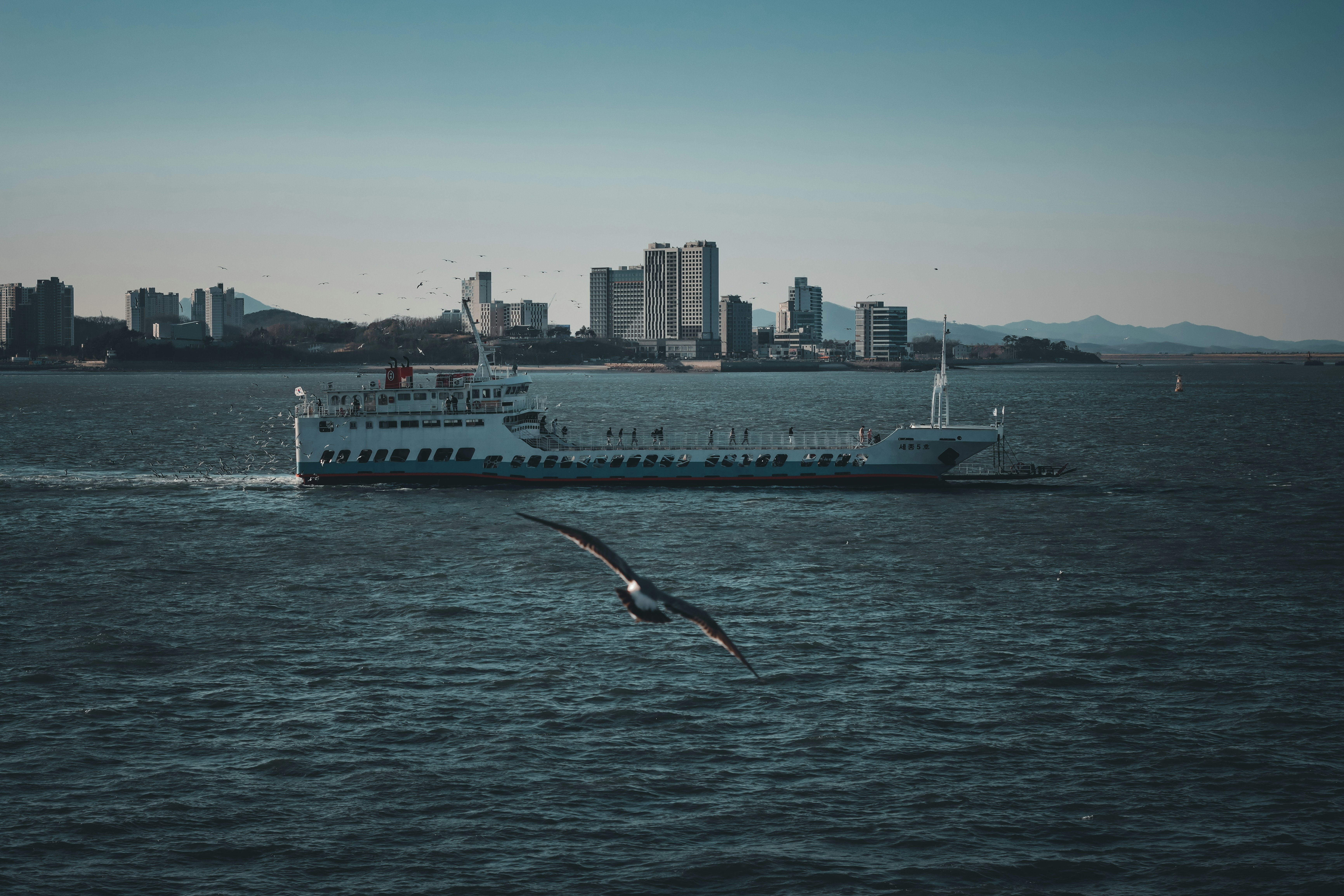 Seabound Ferry and Seagull