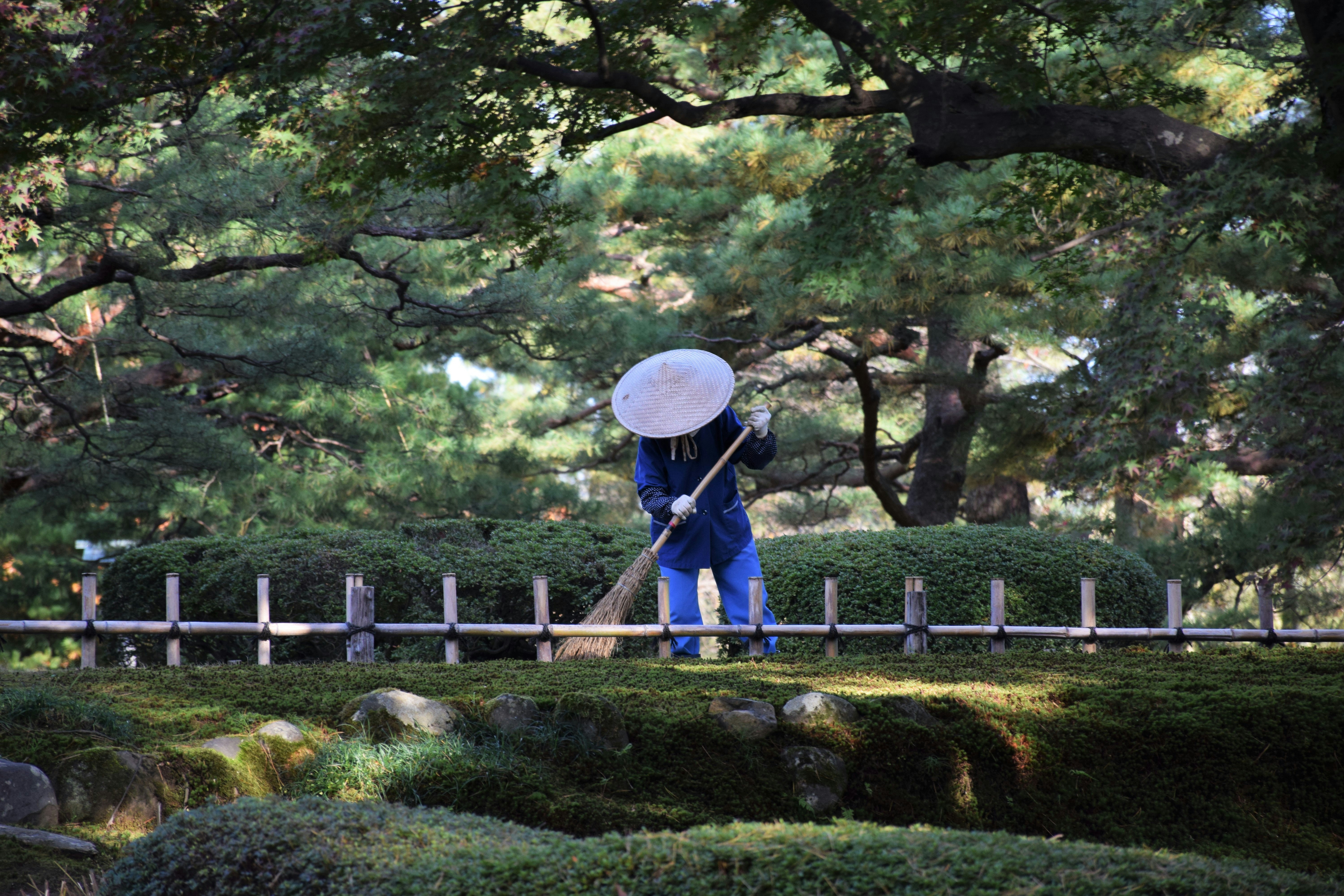 Blue-robed Gardener Sweeping a Mossy Path Beneath Quiet Pine Canopy