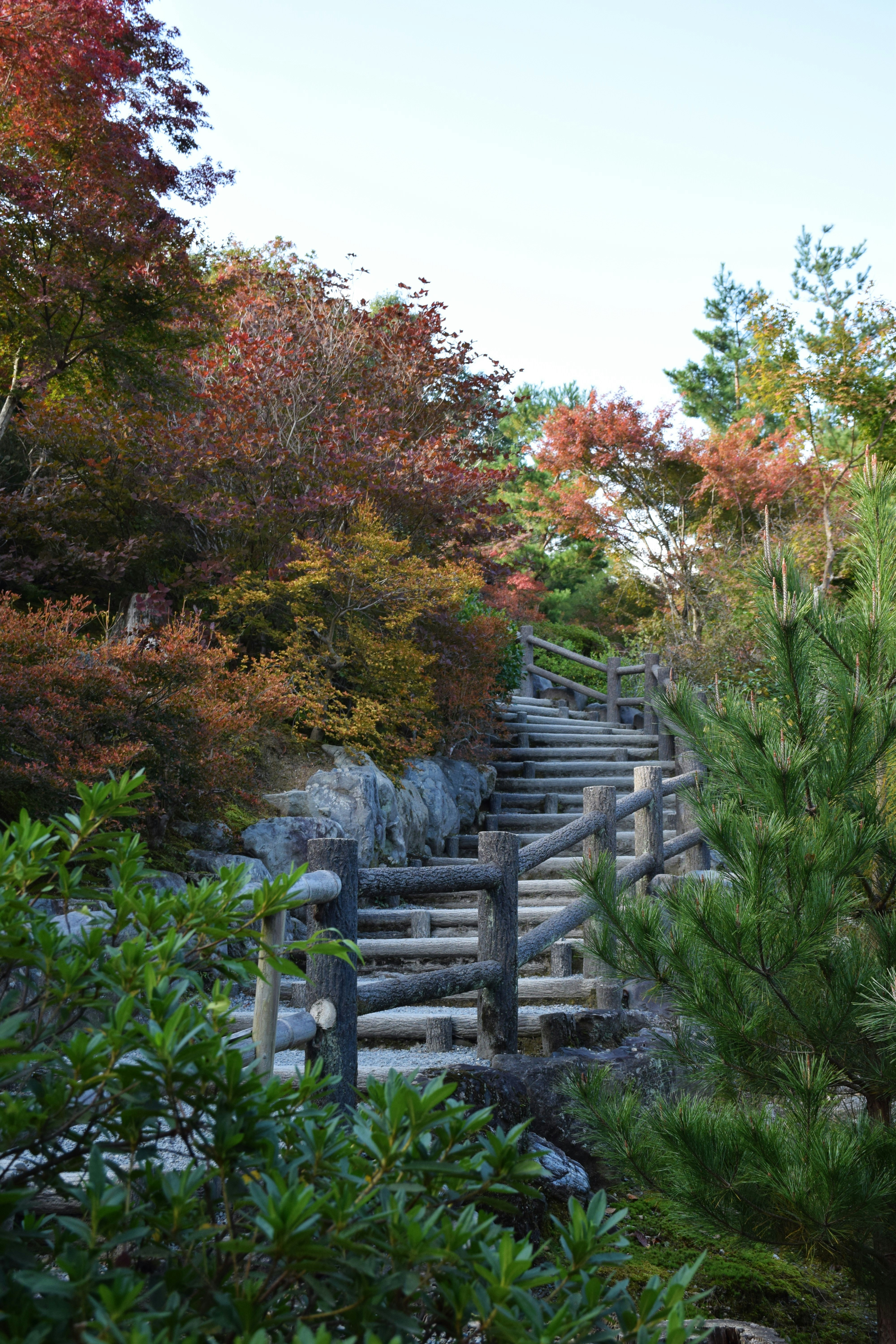 Autumn Stairway: Quiet Ascent Through a Kaleidoscopic Garden