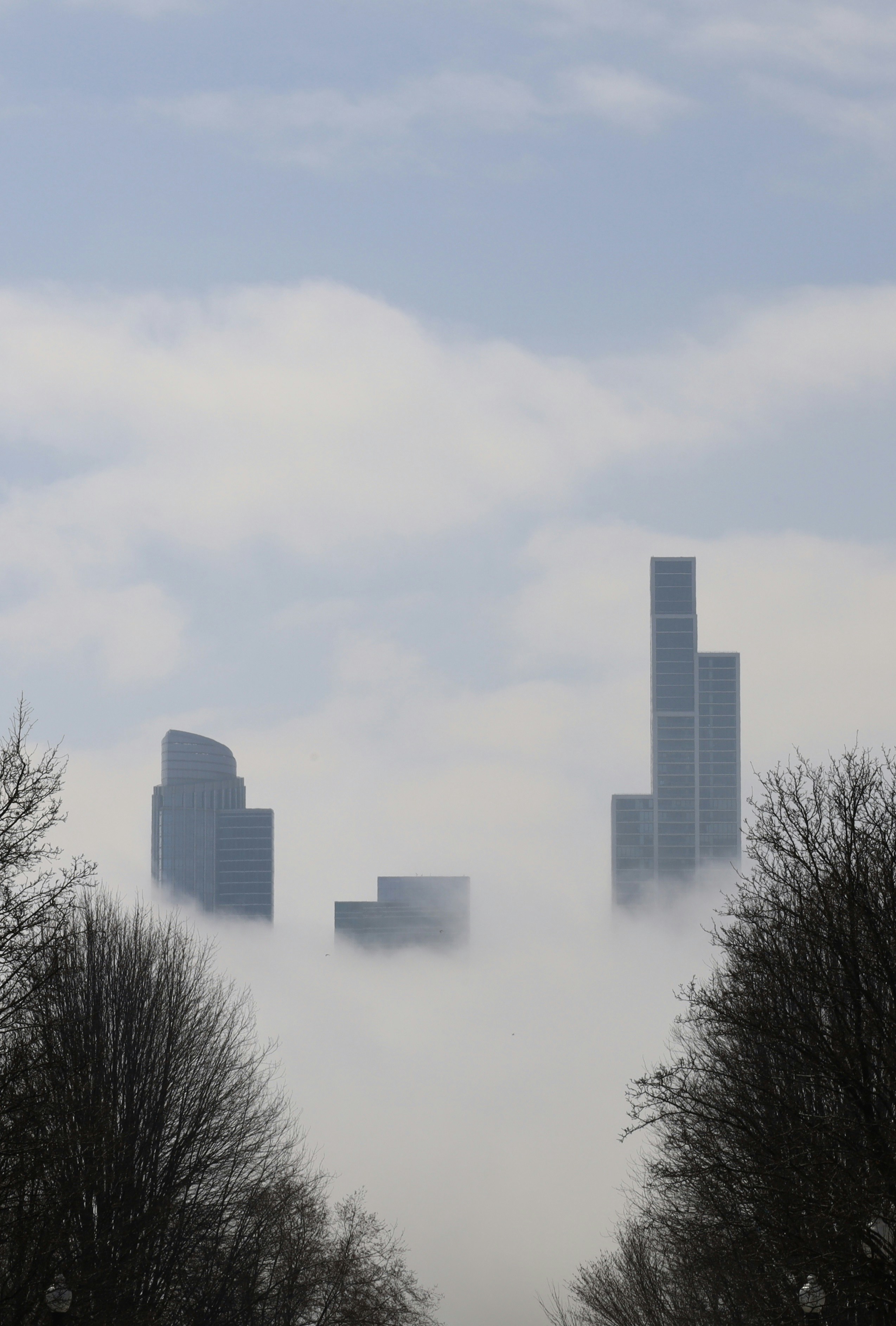 Skyscrapers partially obscured by rolling fog, framed by silhouetted trees in the foreground.
