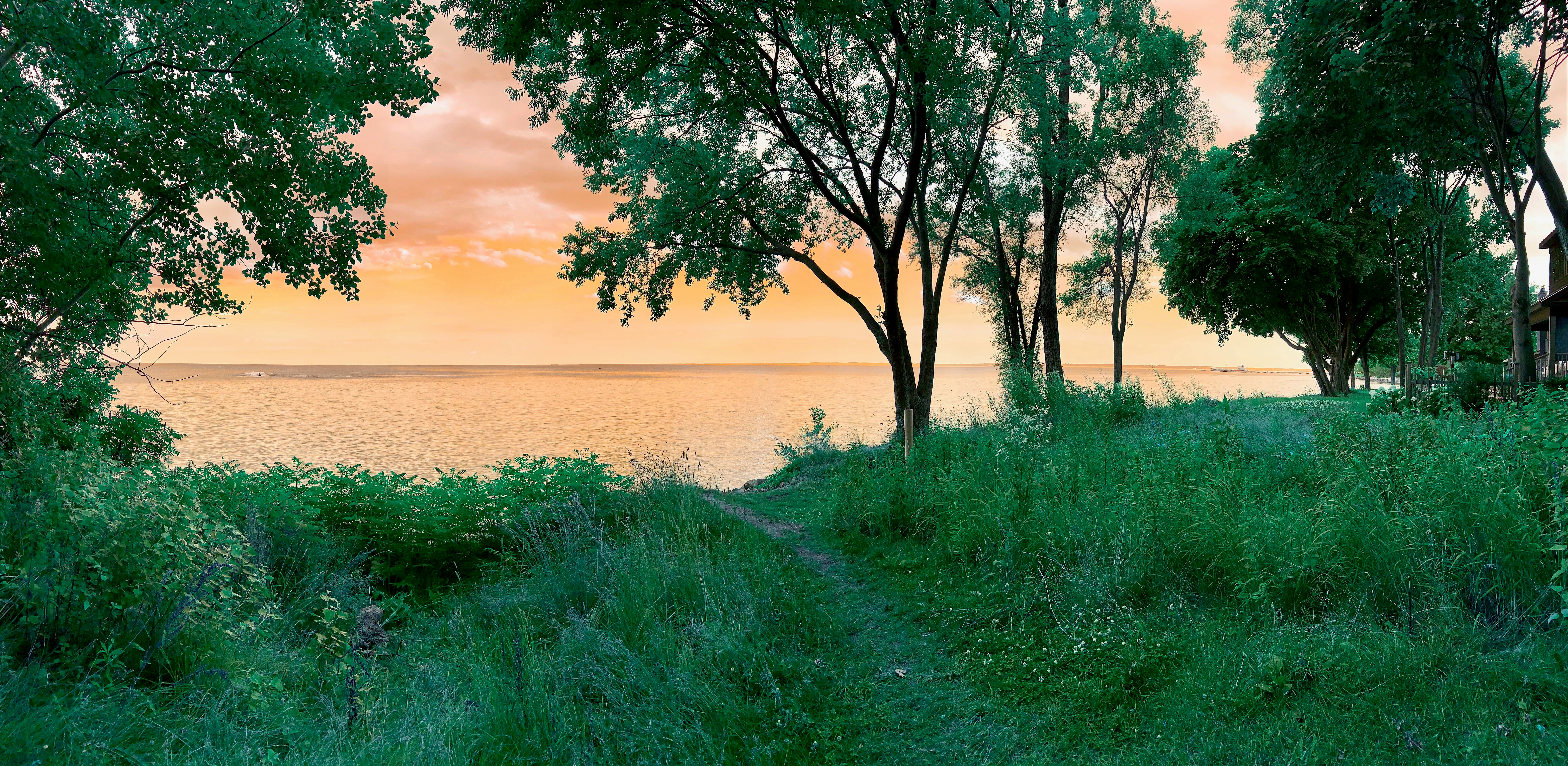 Sunrise over a calm lake framed by lush trees and vibrant green grass.