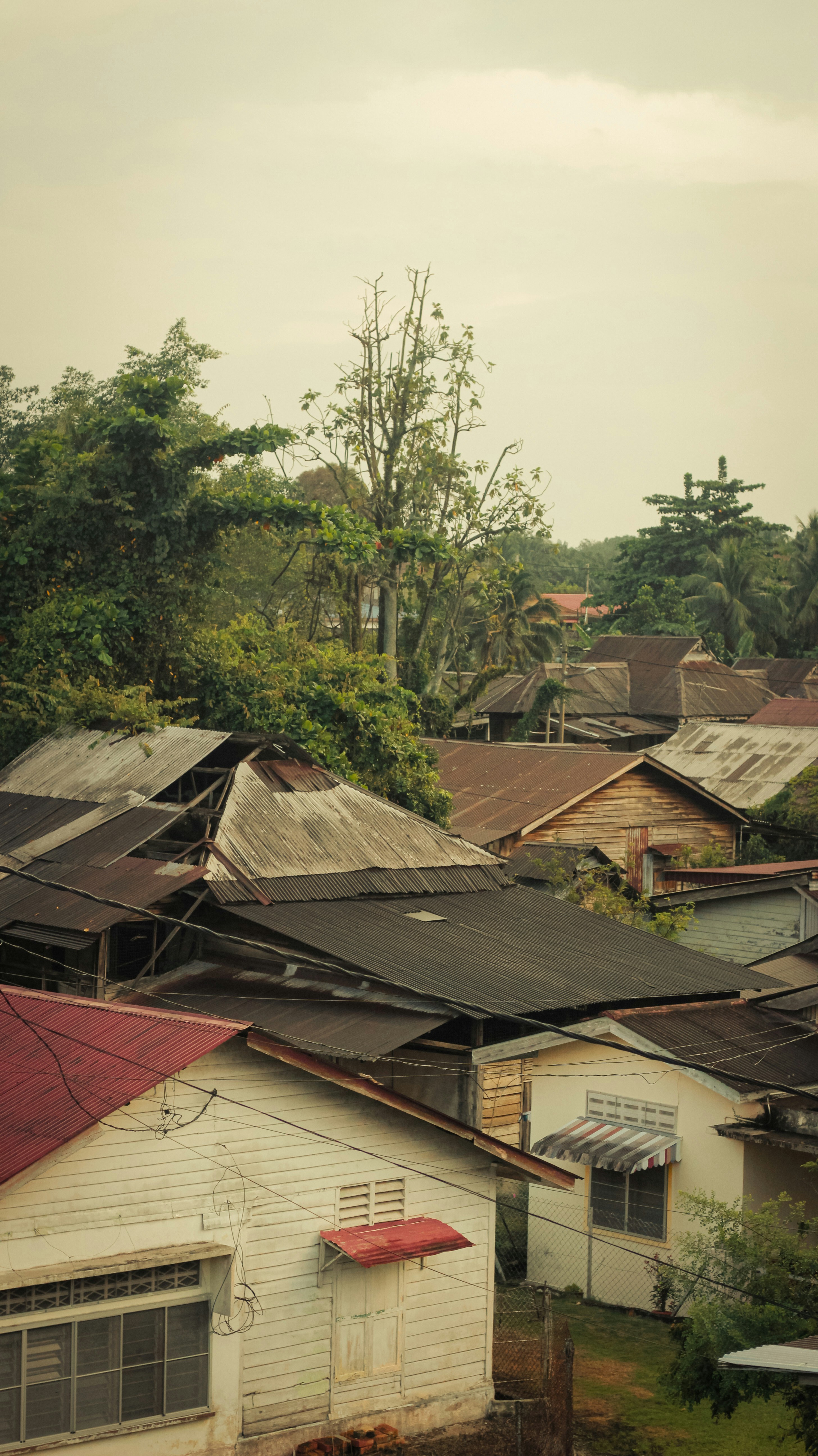 A bunch of houses that are next to each other photo – Free Nature Image ...