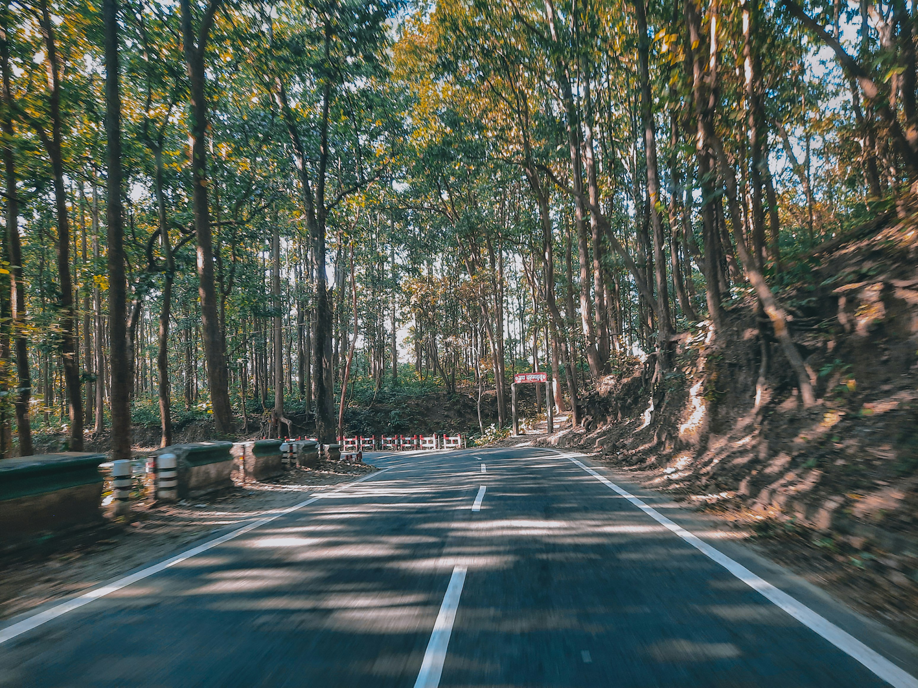 A car driving down a road surrounded by trees photo – Free Uttarakhand ...