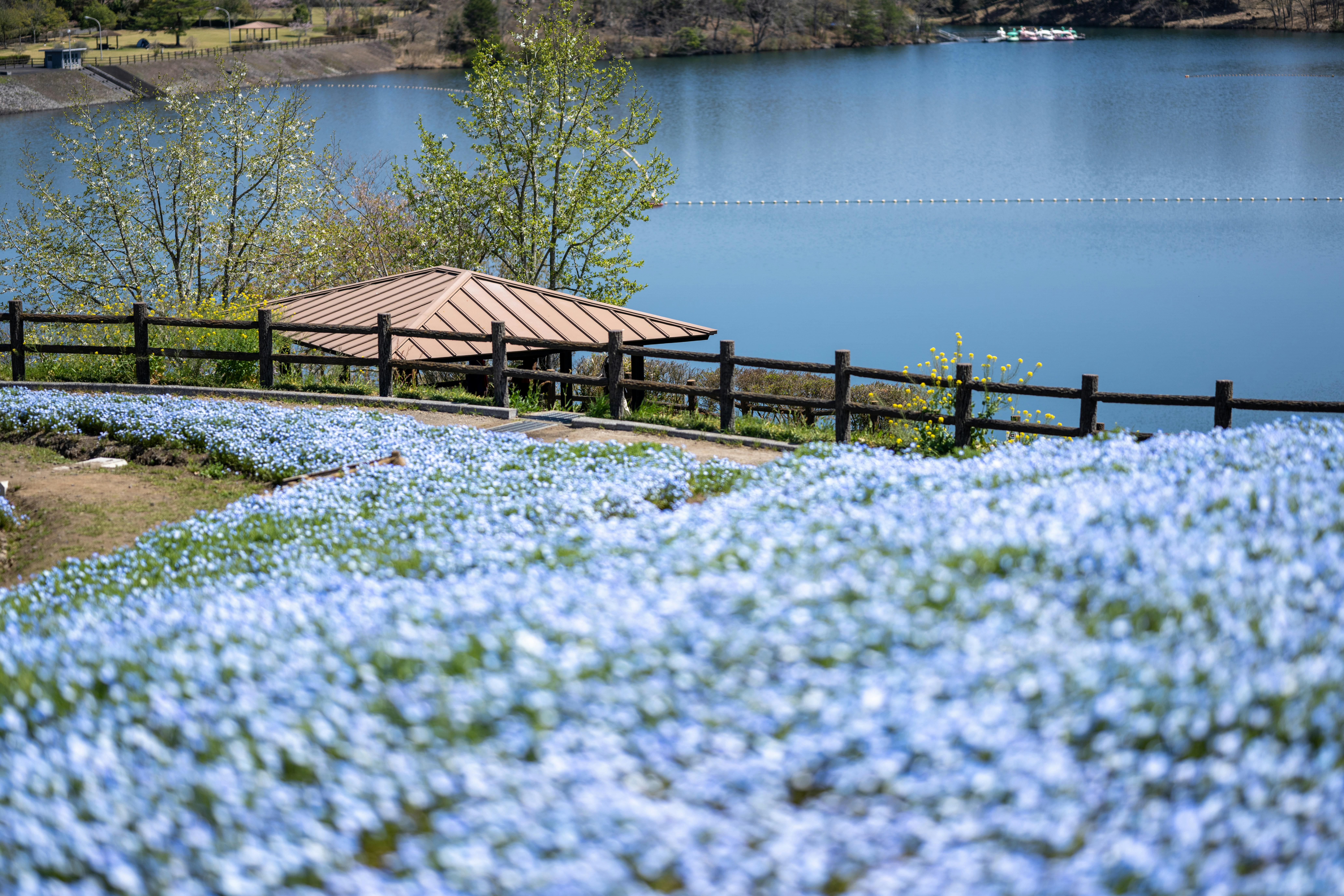 Photo by Kouji Tsuru with Nikon Z9