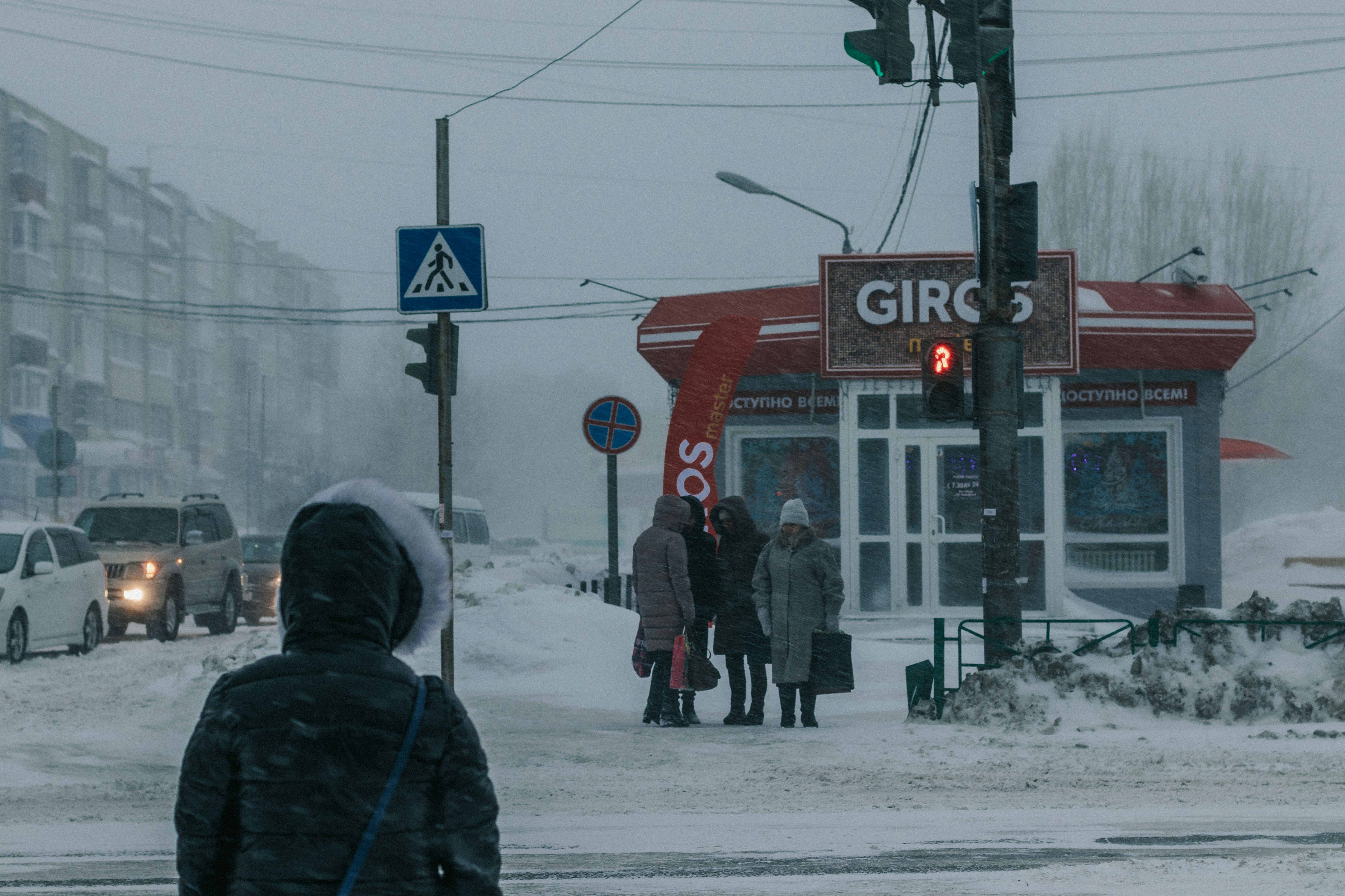Snowbound Crossing at the Red-Roofed Transit Stop