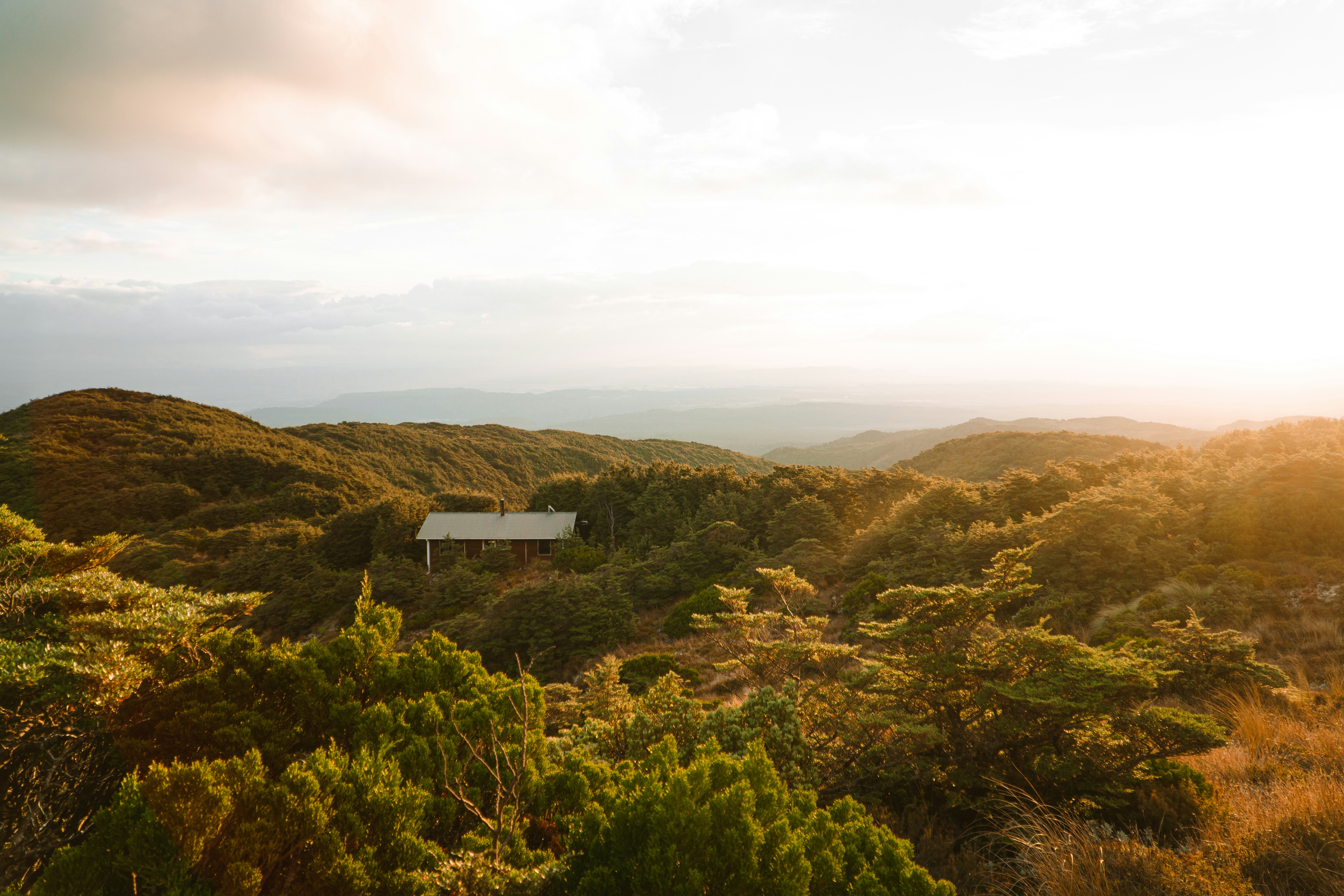 A house on a hill surrounded by trees photo – Free Blyth hut Image on ...