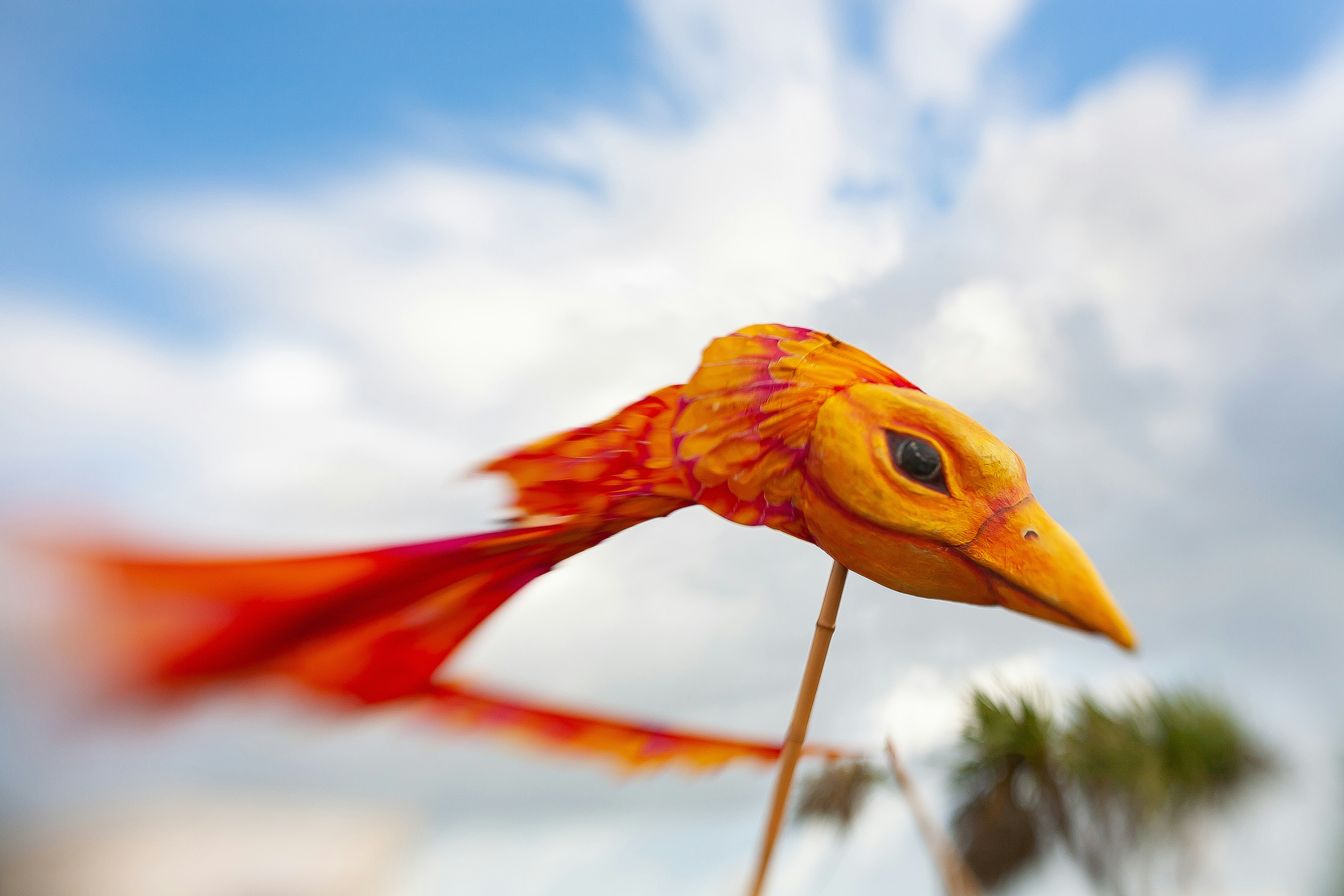Crimson Beak in a Sky of Blur: A Close-Up on Color and Motion