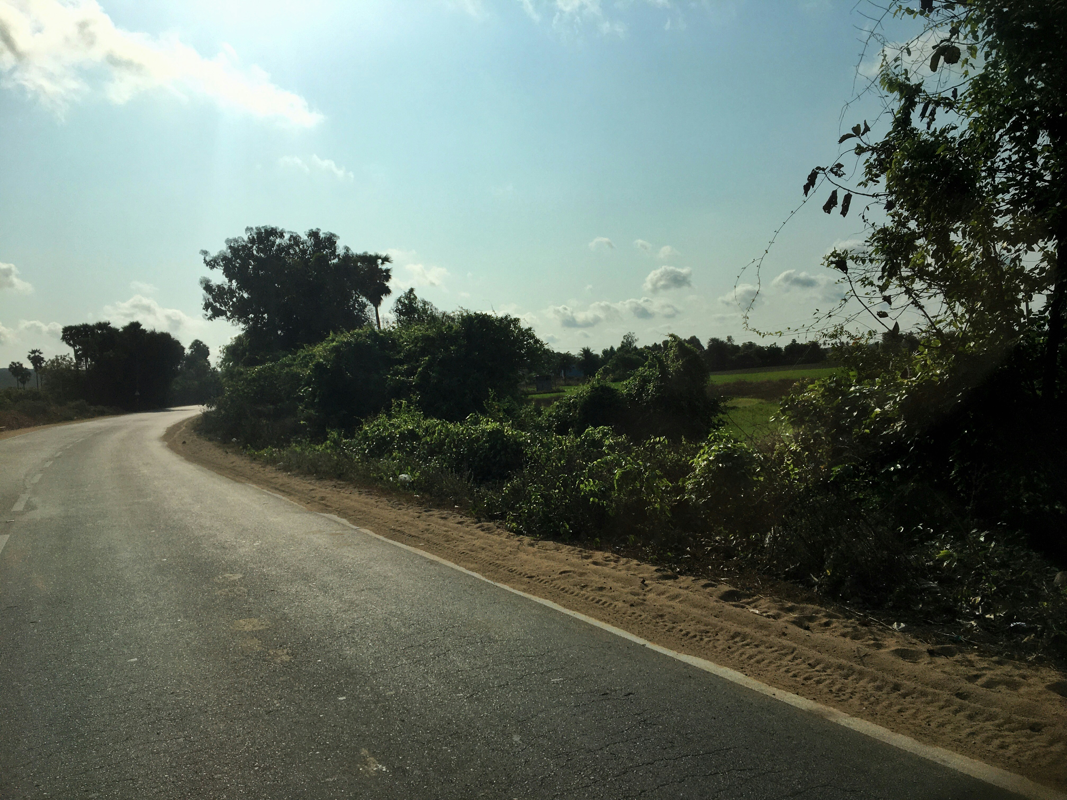 Winding road bordered by lush greenery and open fields under a bright sky. The scene captures the tranquility of rural landscapes.