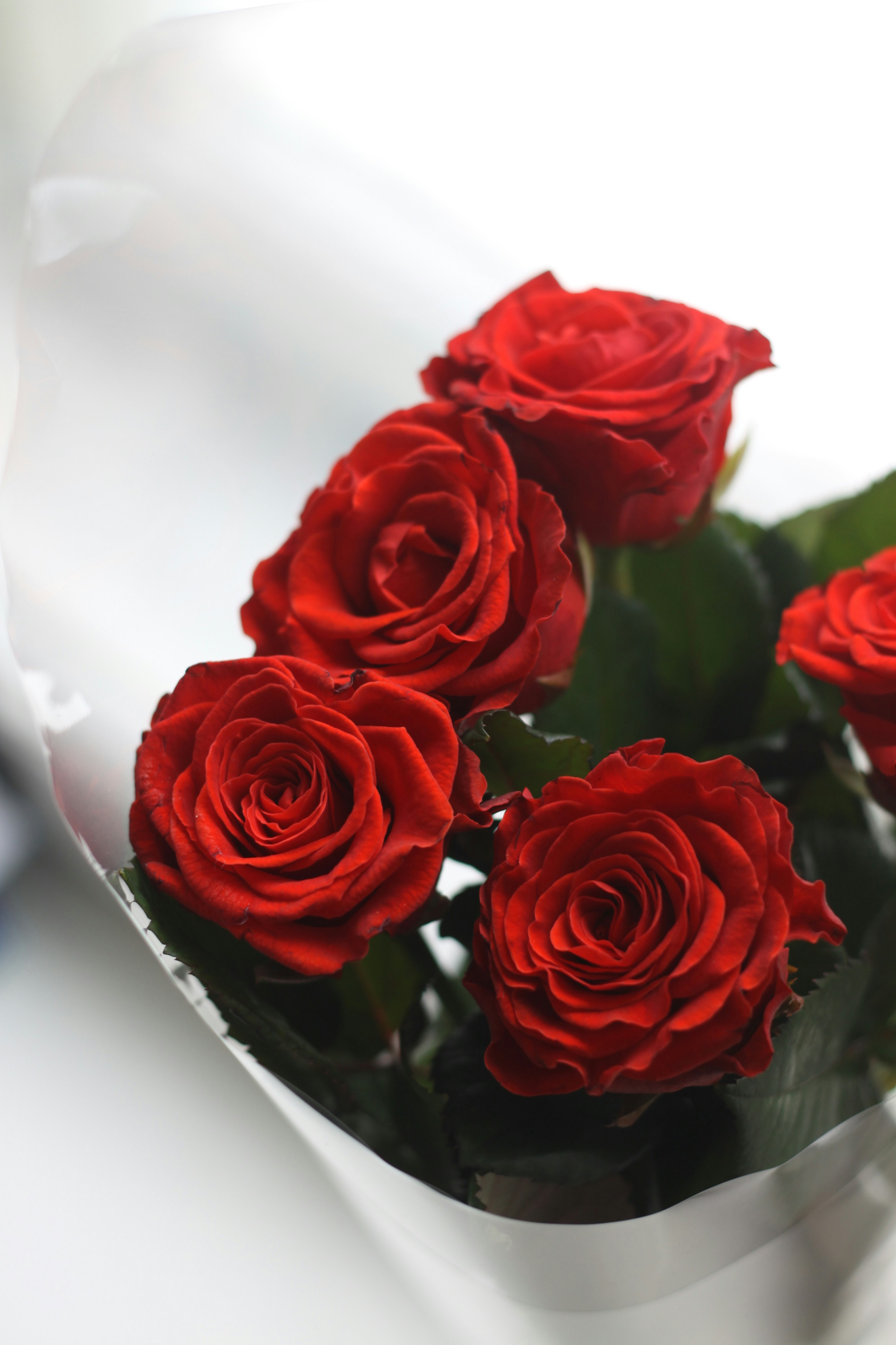Un bouquet de roses rouges dans un vase photo – Photo Fleur Gratuite ...